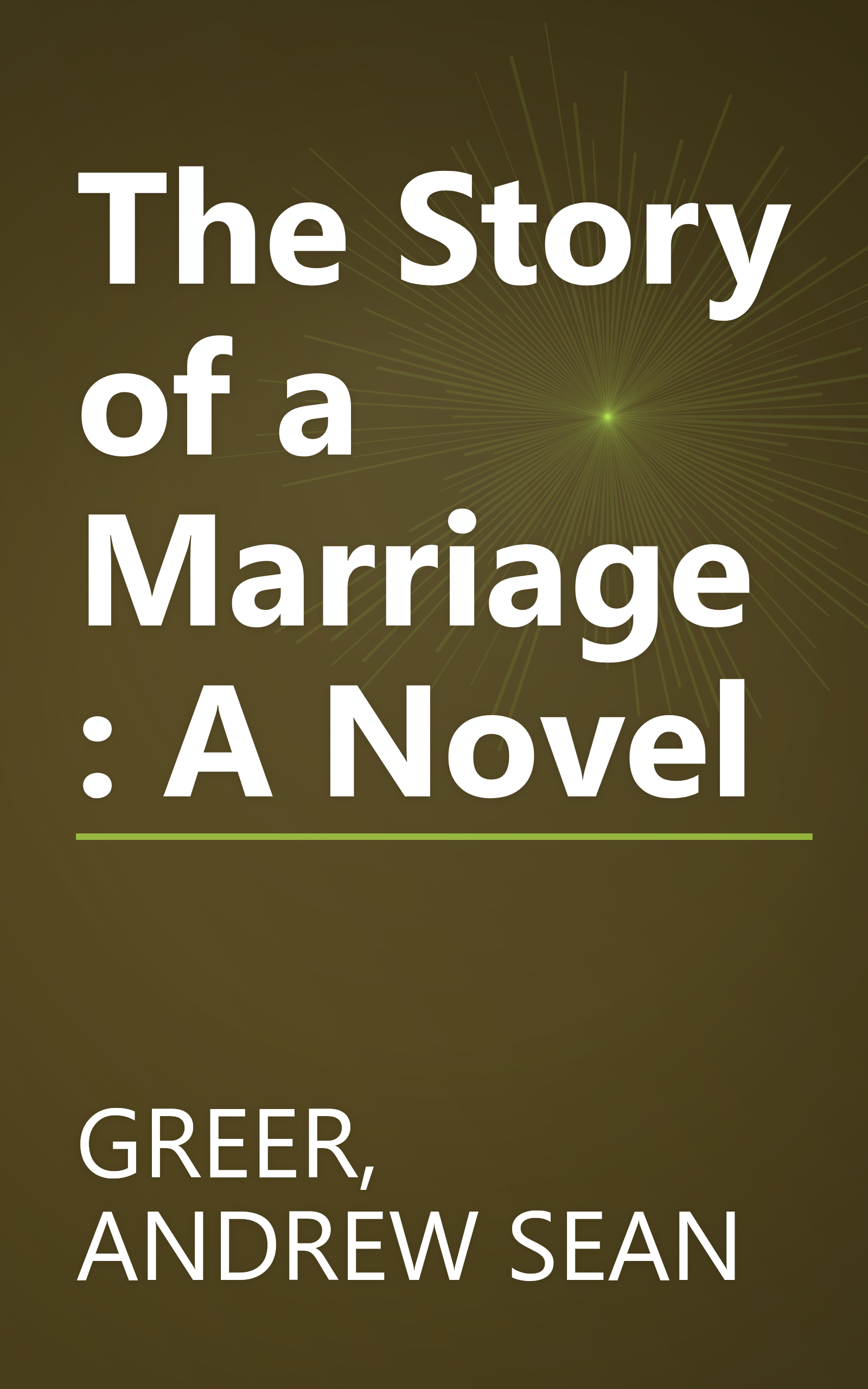 The Story of a Marriage: A Novel book cover