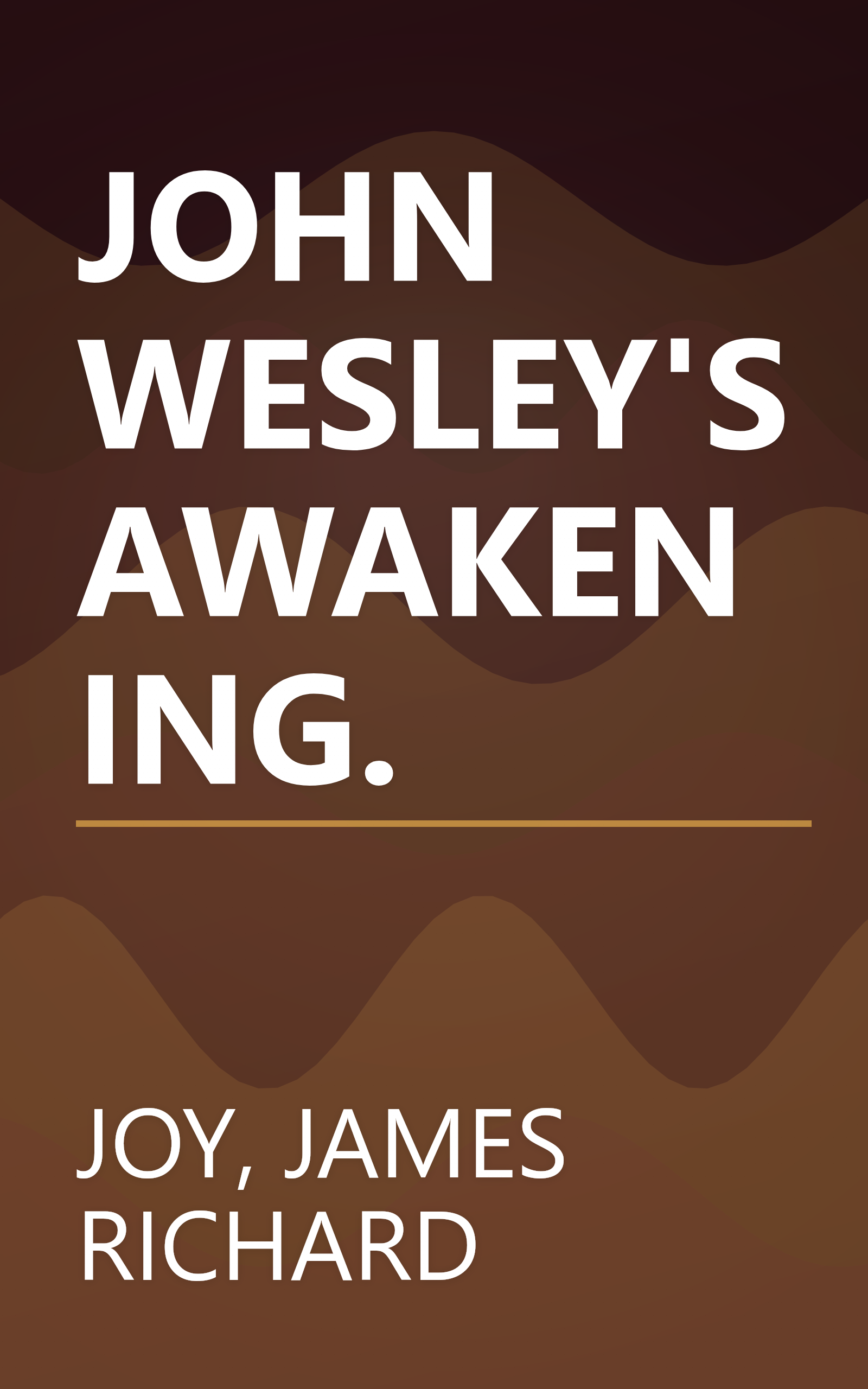 JOHN WESLEY'S AWAKENING. book cover