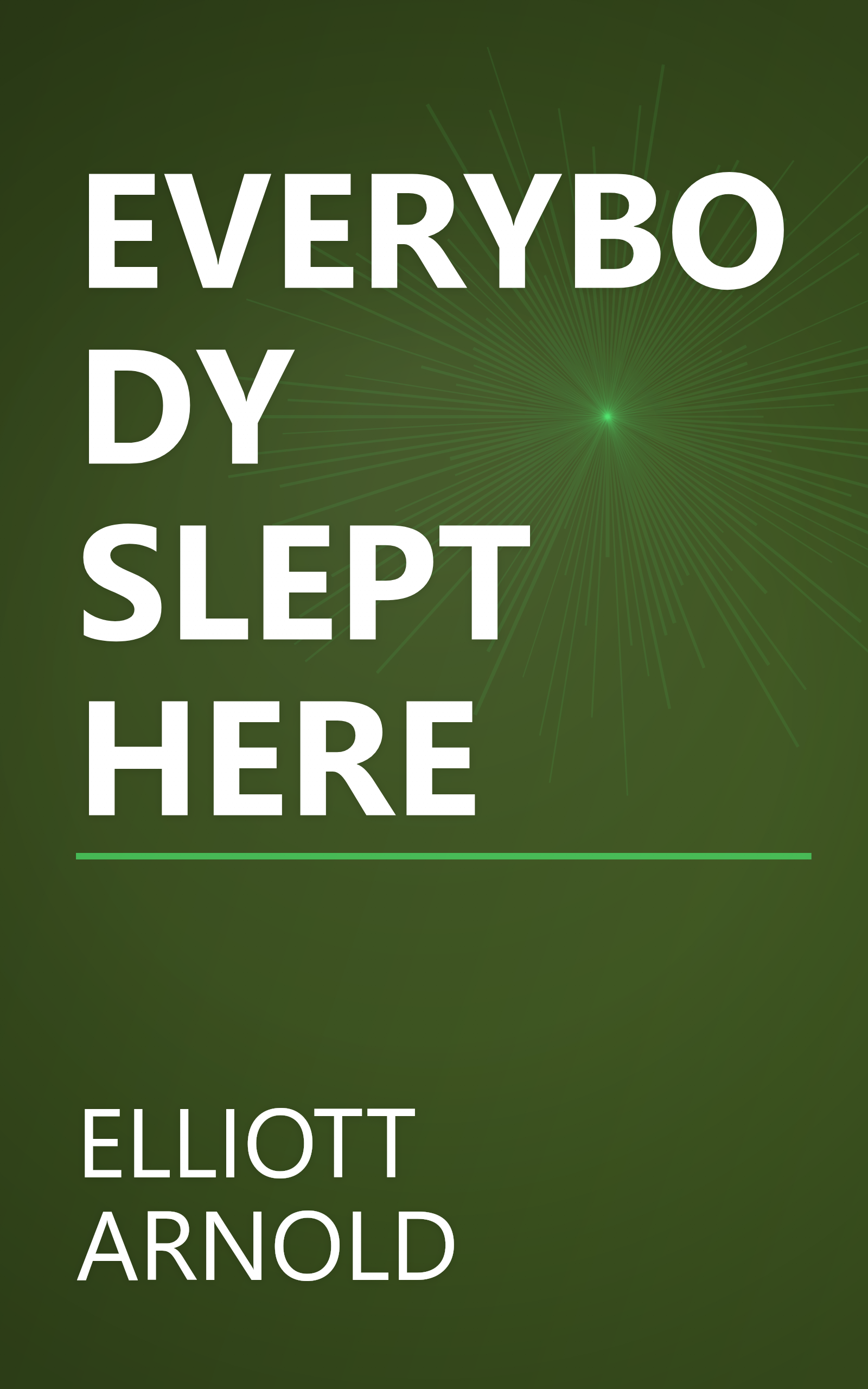 EVERYBODY SLEPT HERE book cover