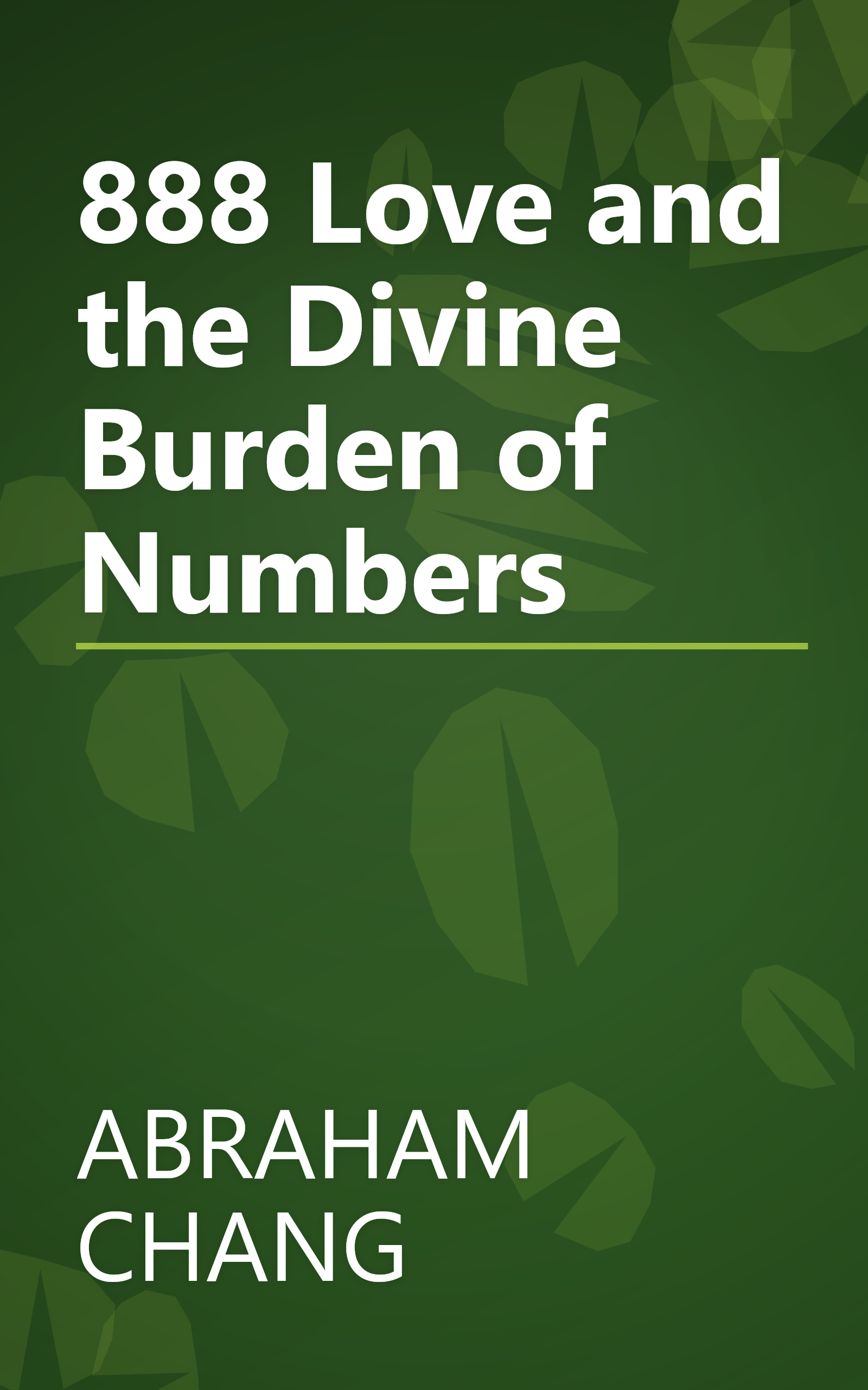 888 Love and the Divine Burden of Numbers book cover