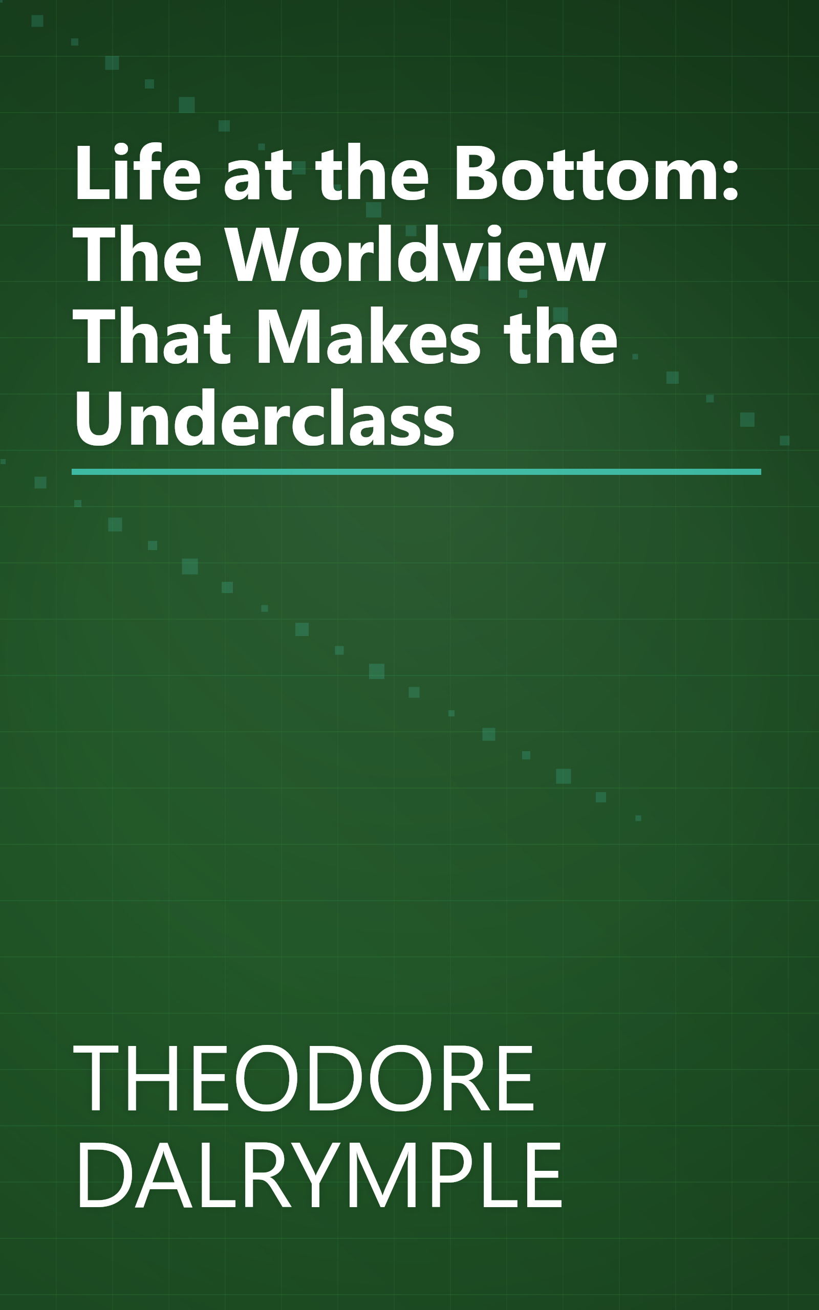 Life at the Bottom: The Worldview That Makes the Underclass book cover