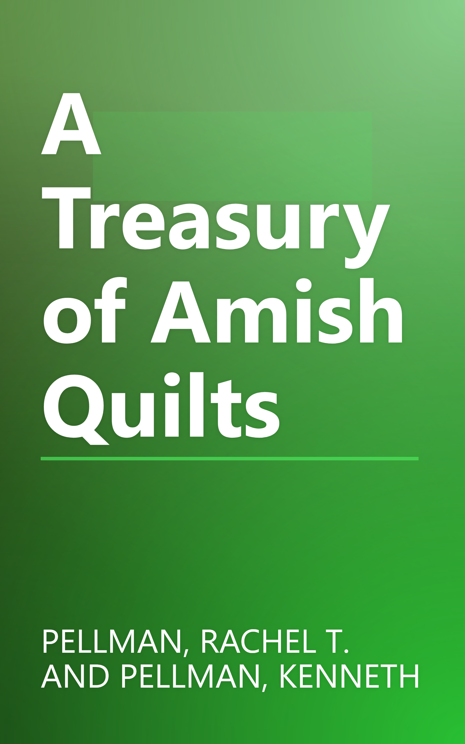 A Treasury of Amish Quilts book cover