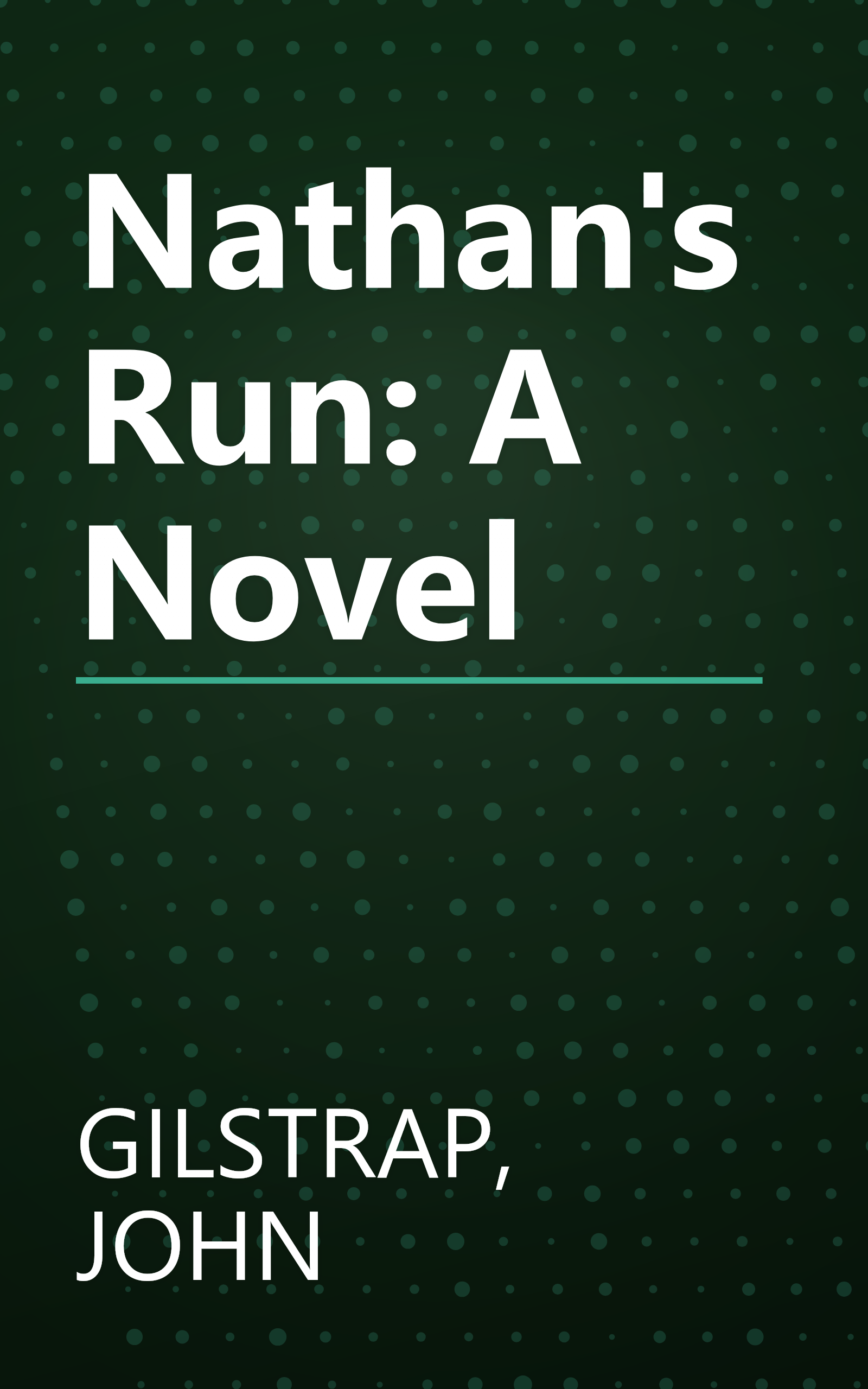 Nathan's Run: A Novel book cover