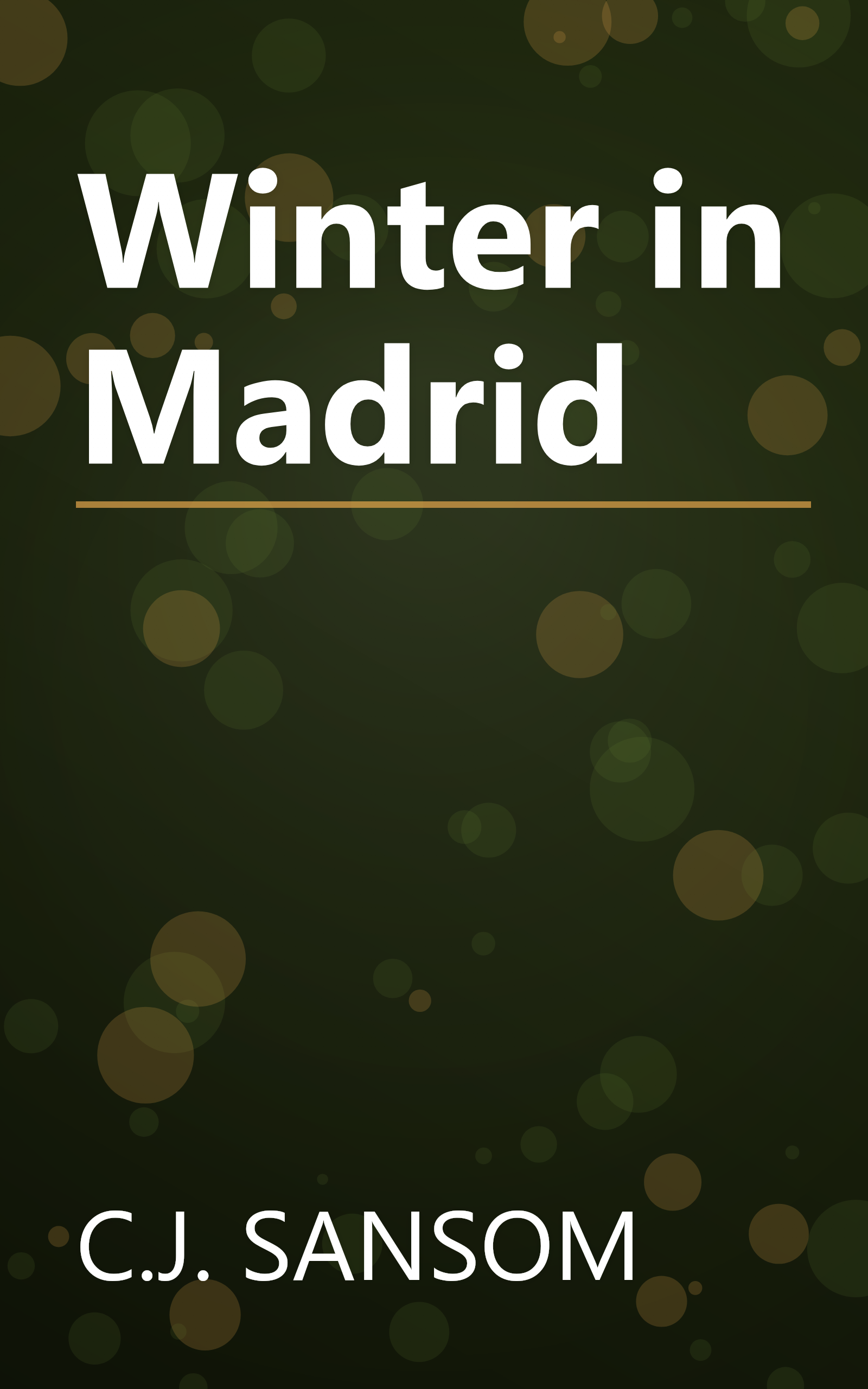 Winter in Madrid book cover