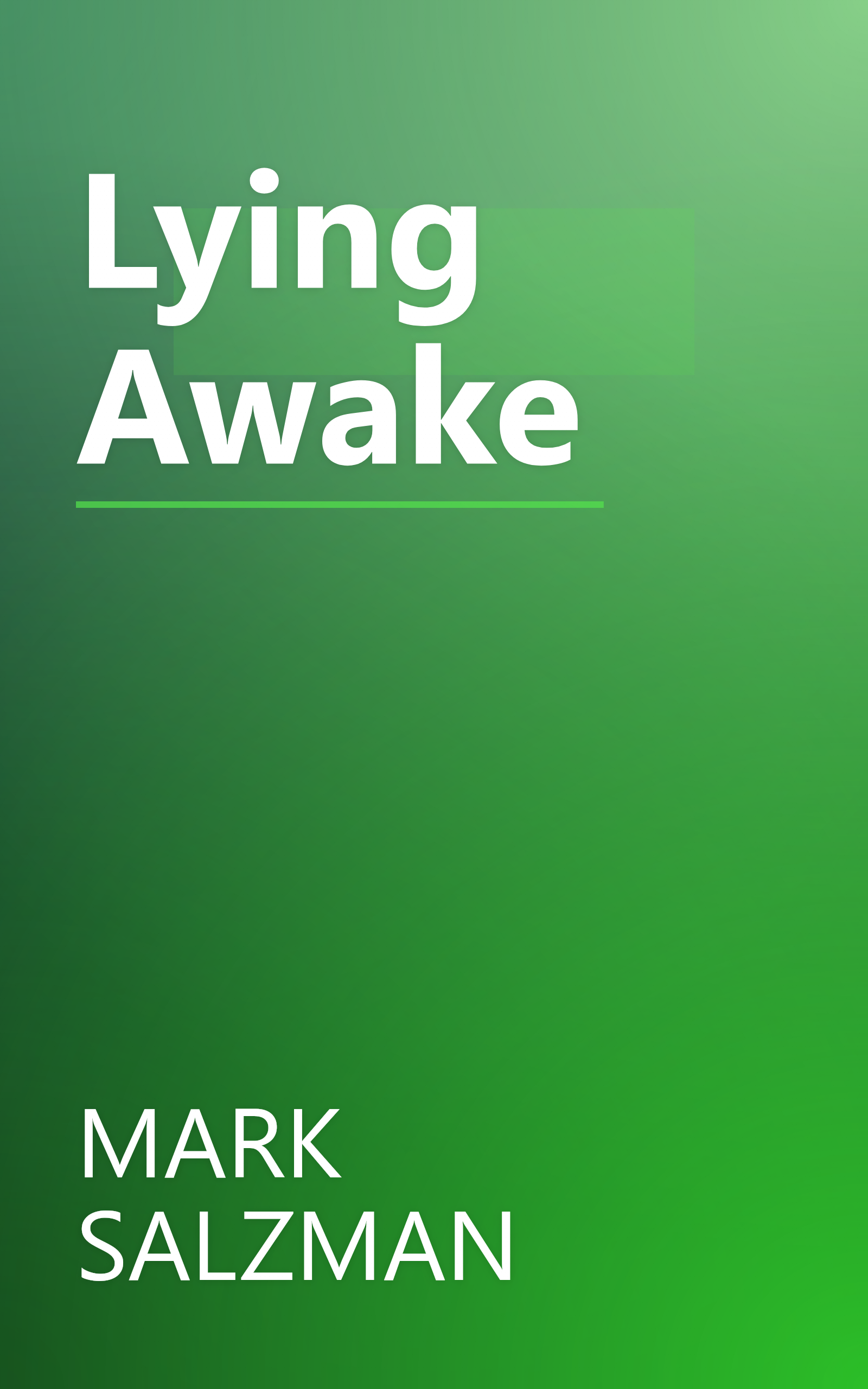 Lying Awake book cover