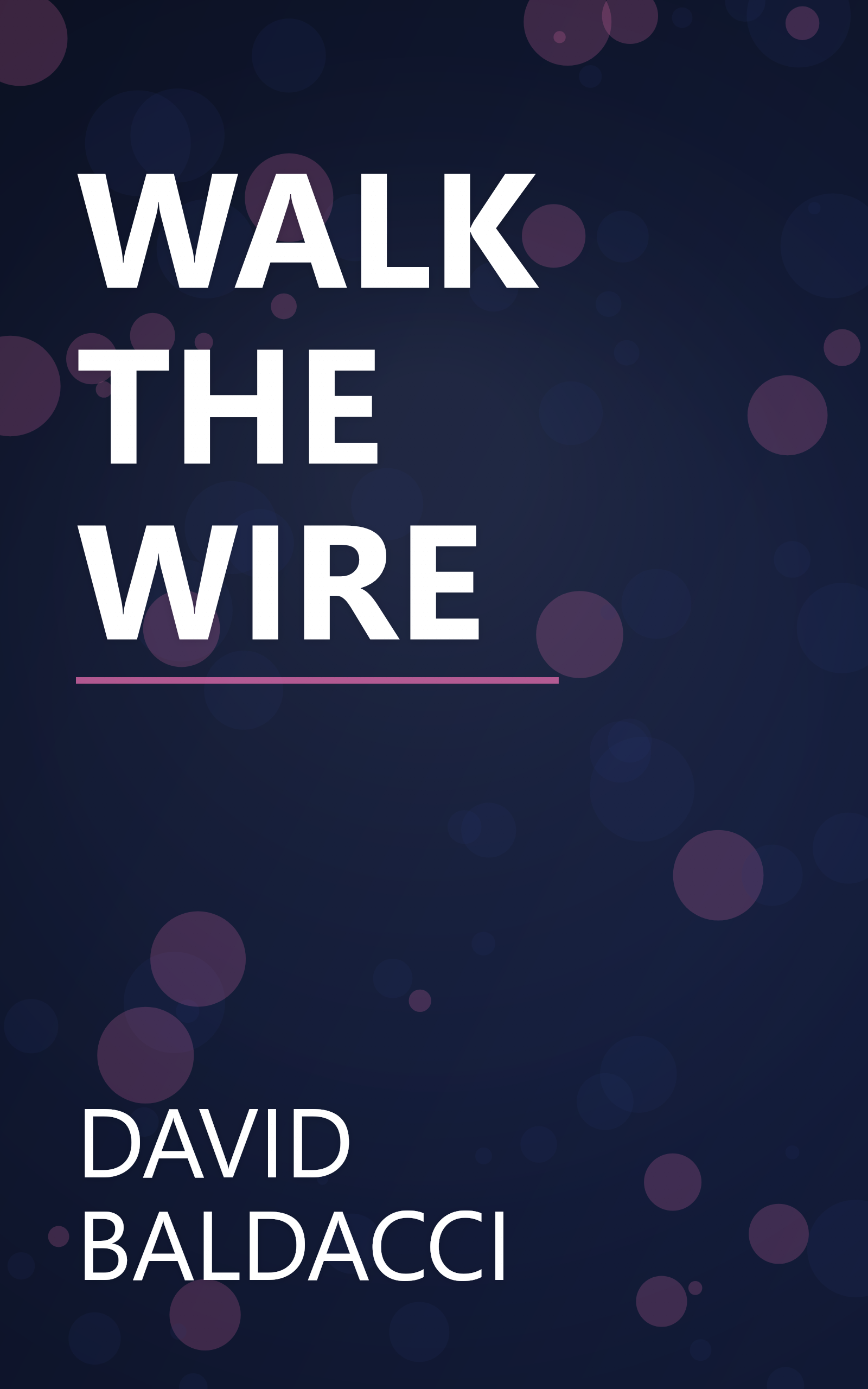 WALK THE WIRE book cover