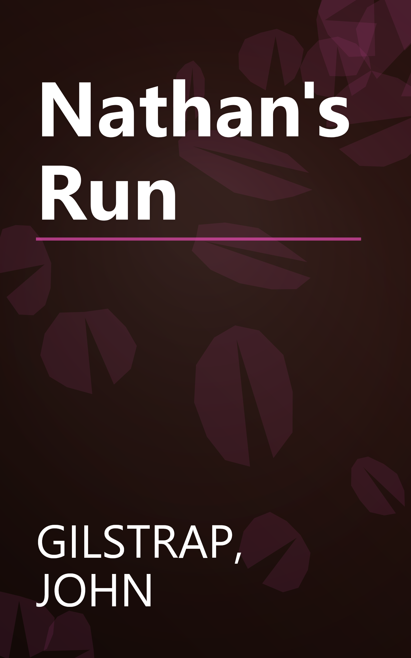 Nathan's Run book cover