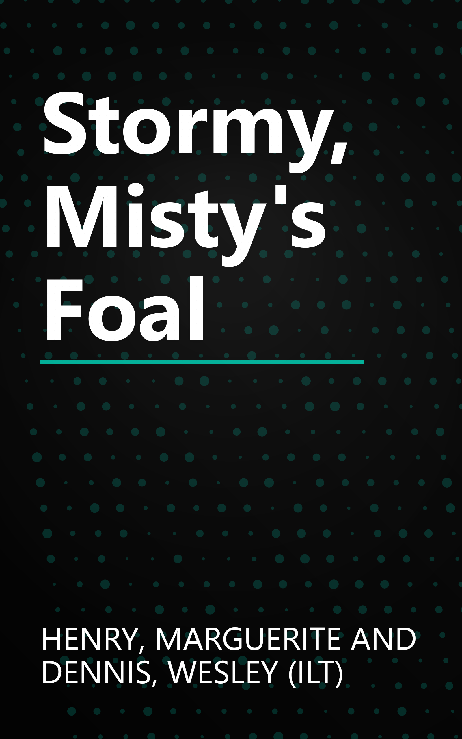 Stormy, Misty's Foal book cover