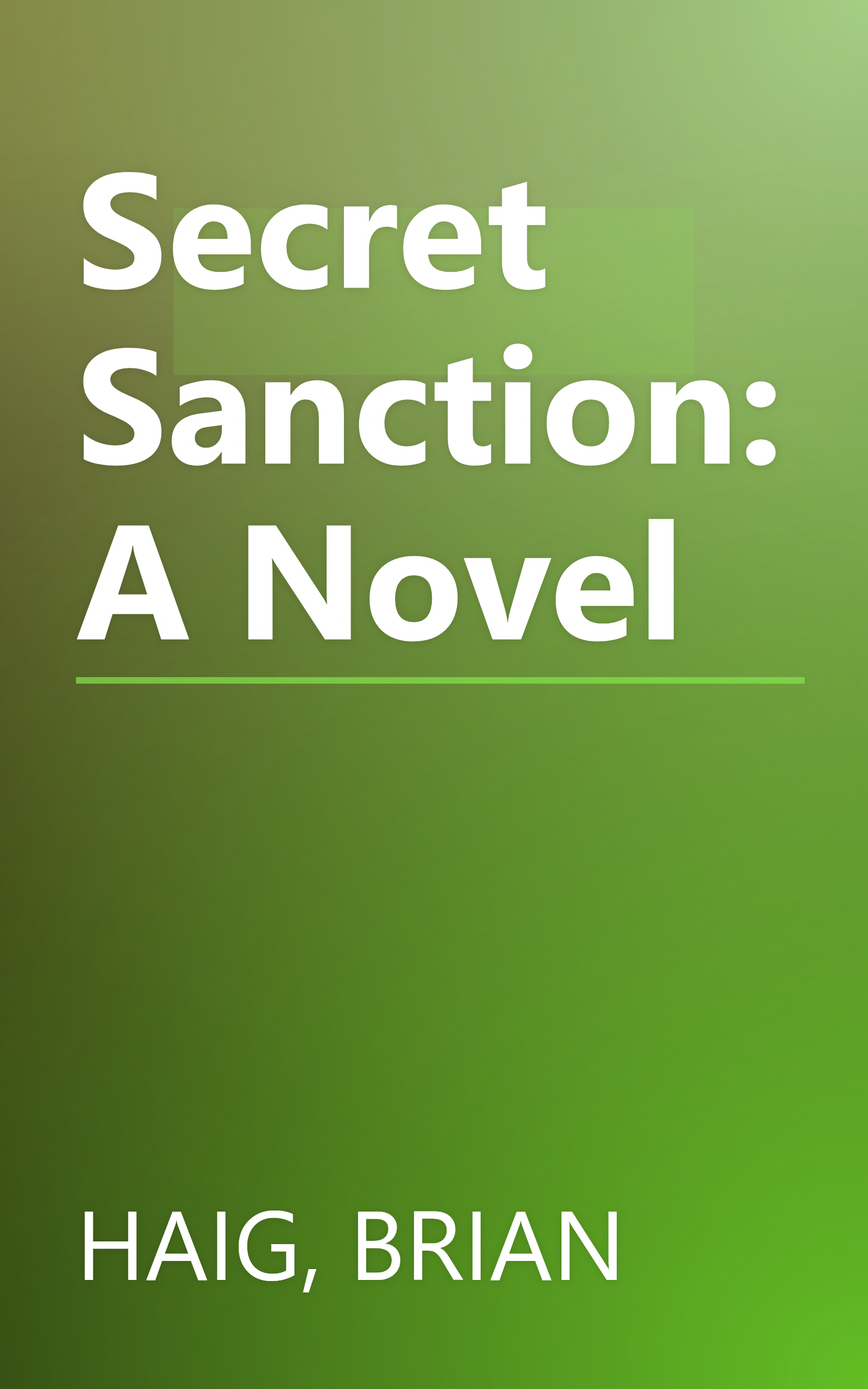 Secret Sanction: A Novel book cover