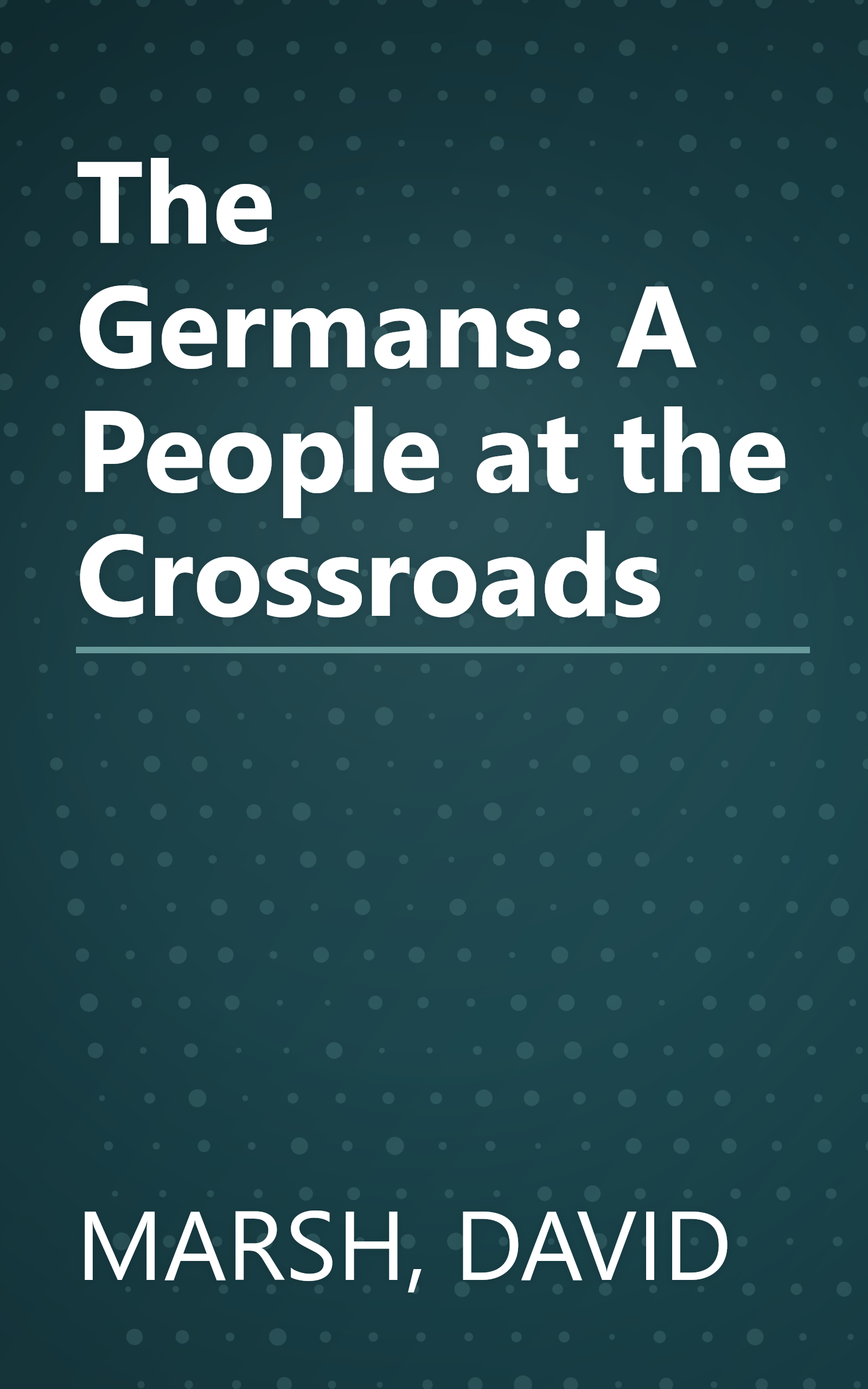The Germans: A People at the Crossroads book cover