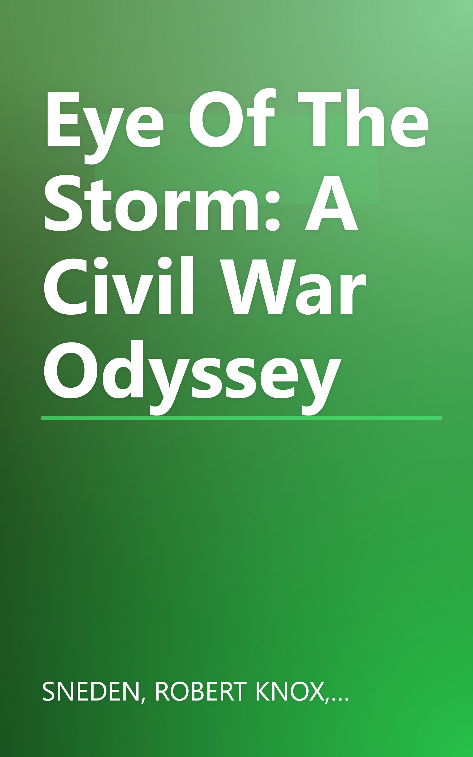 Eye Of The Storm: A Civil War Odyssey book cover