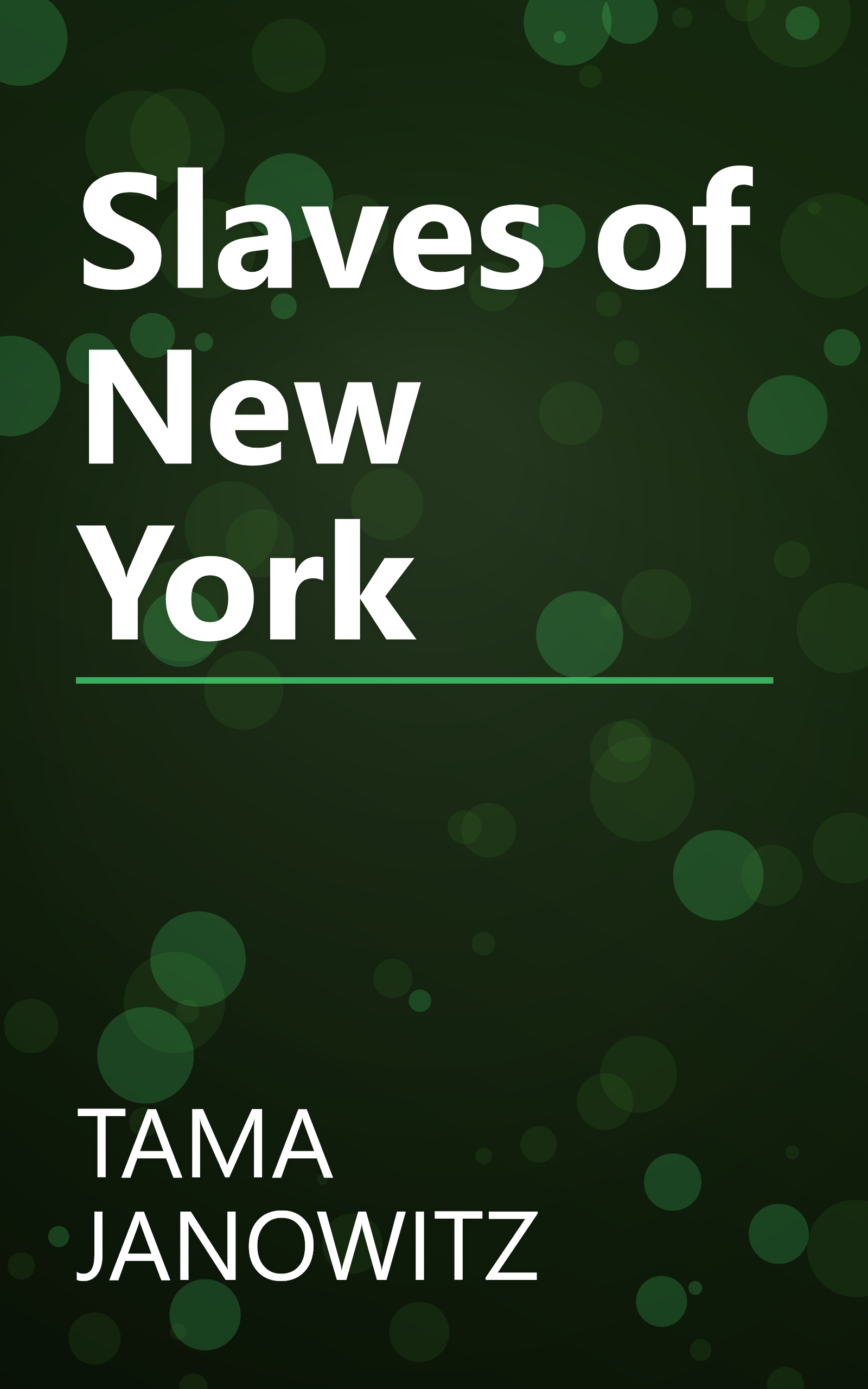 Slaves of New York book cover