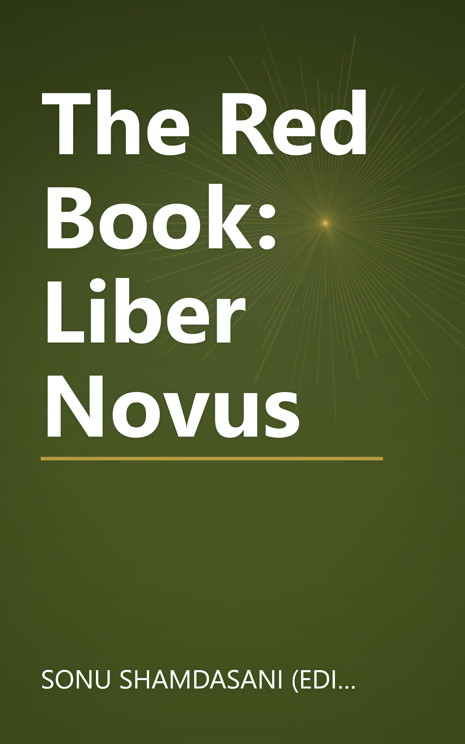 The Red Book: Liber Novus book cover
