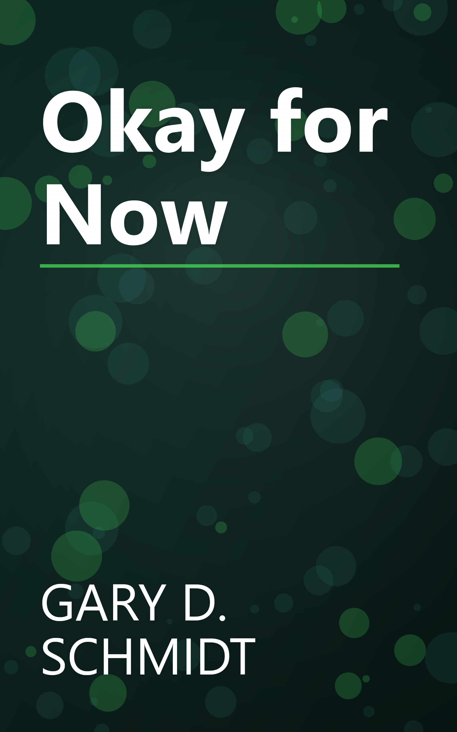 Okay for Now book cover