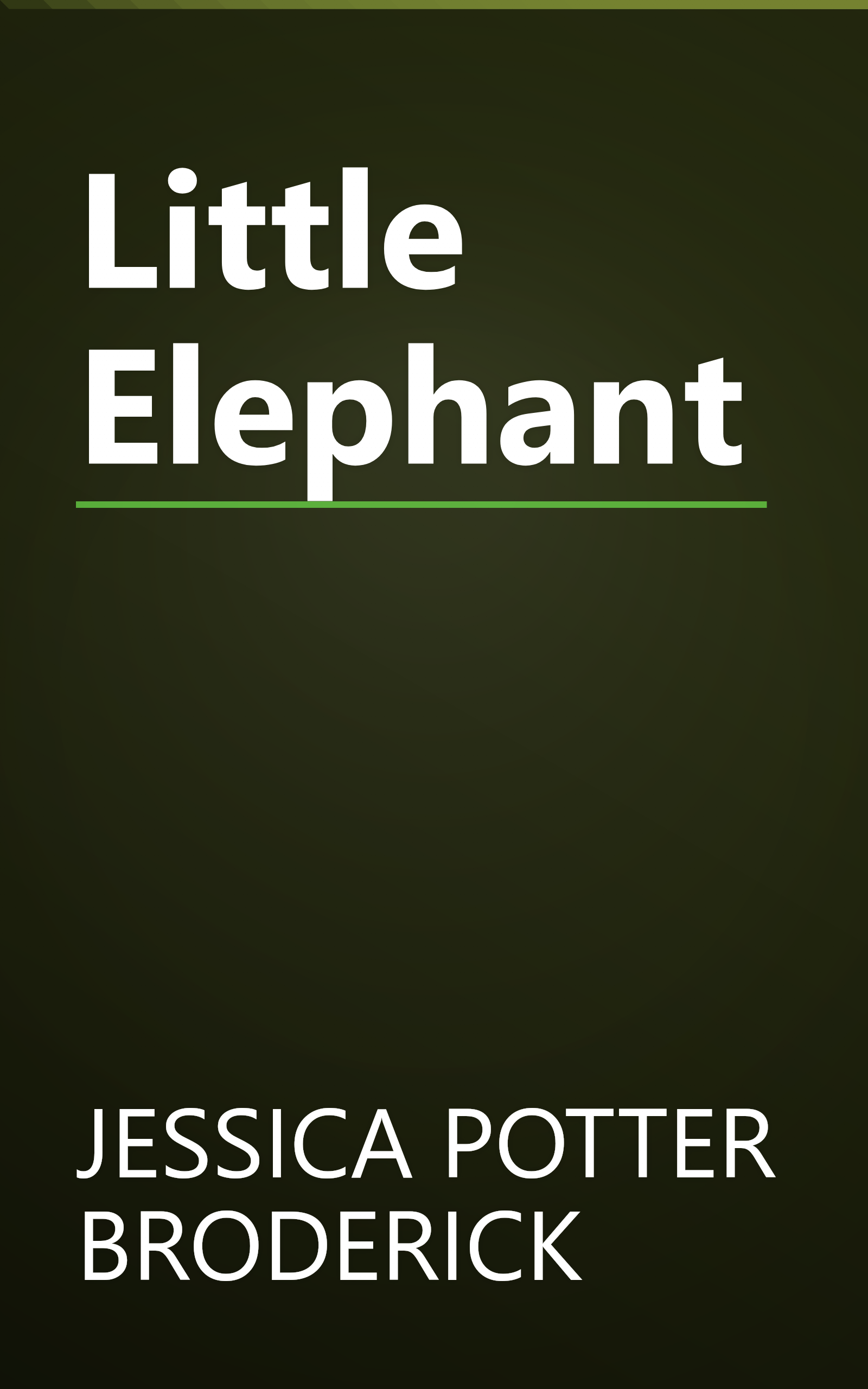 Little Elephant book cover
