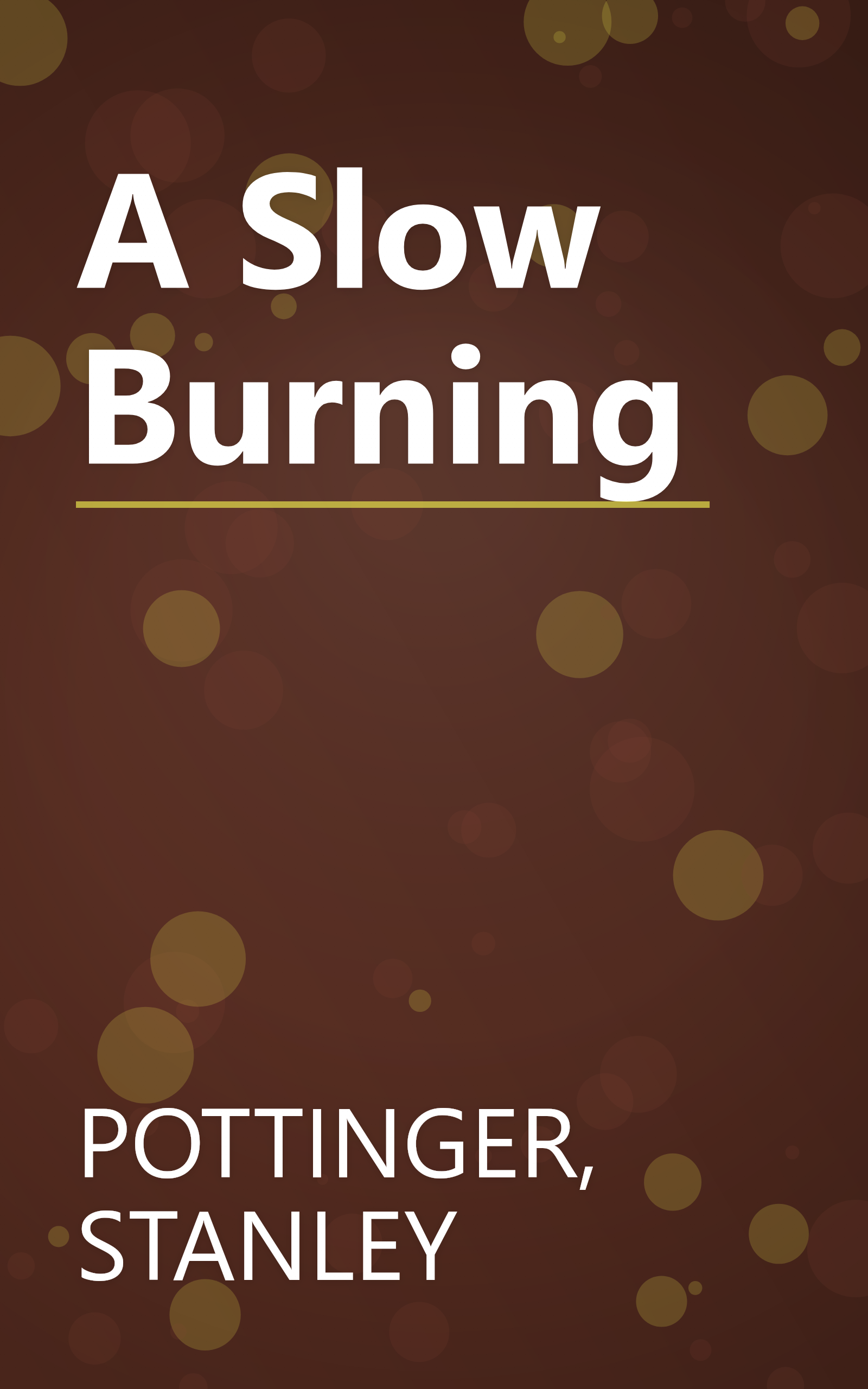 A Slow Burning book cover