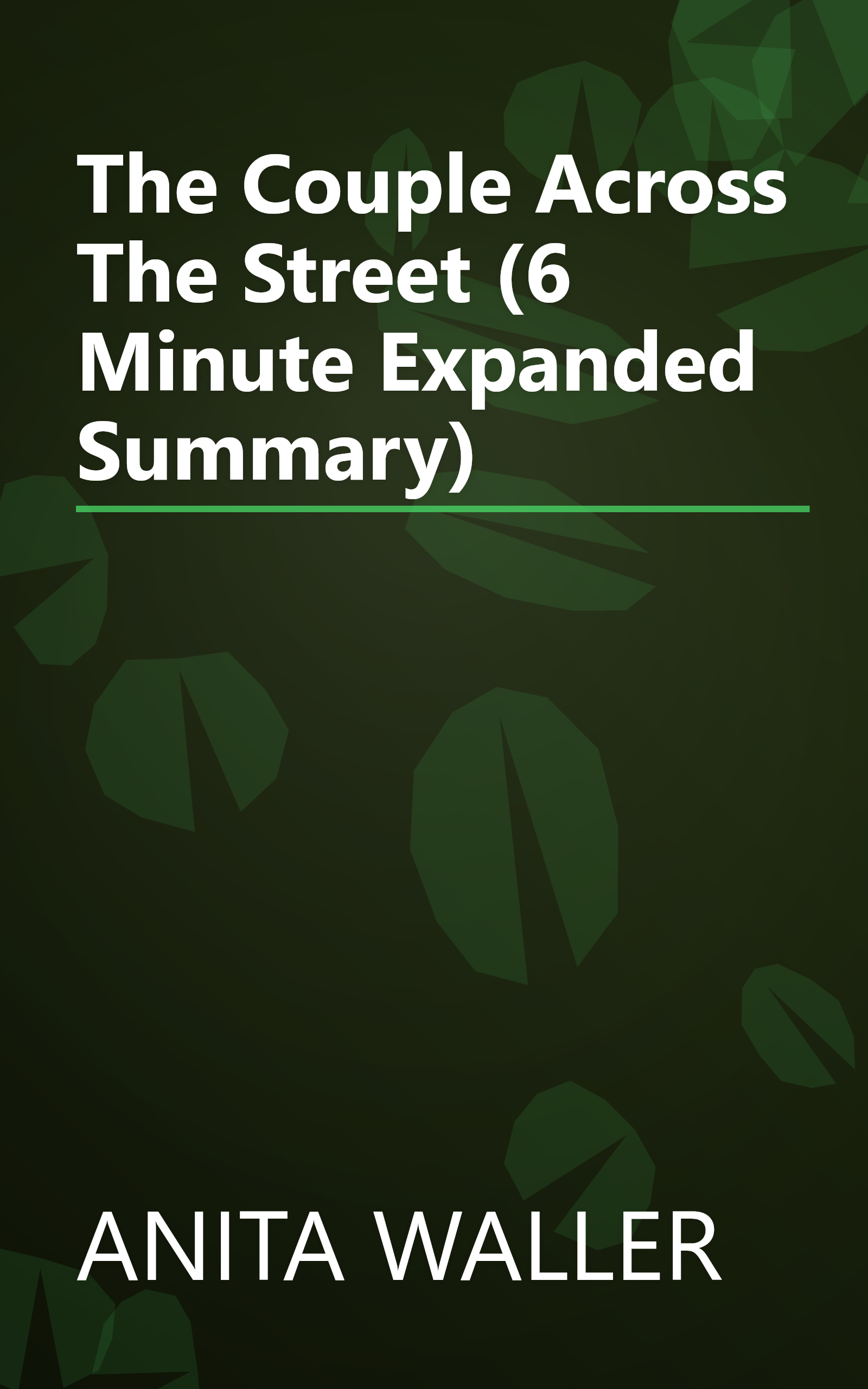 The Couple Across The Street (6 Minute   Expanded Summary) book cover