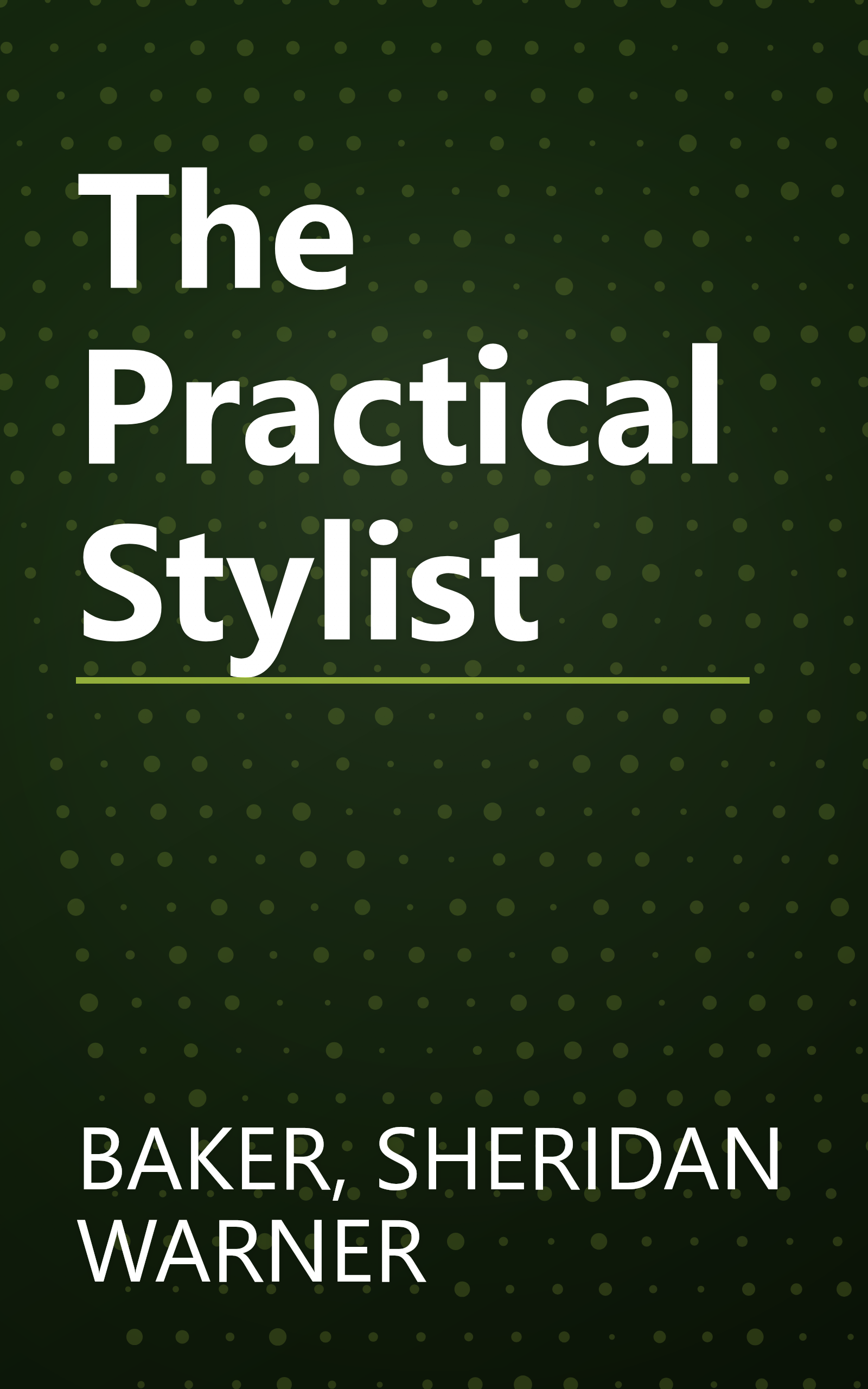 The Practical Stylist book cover