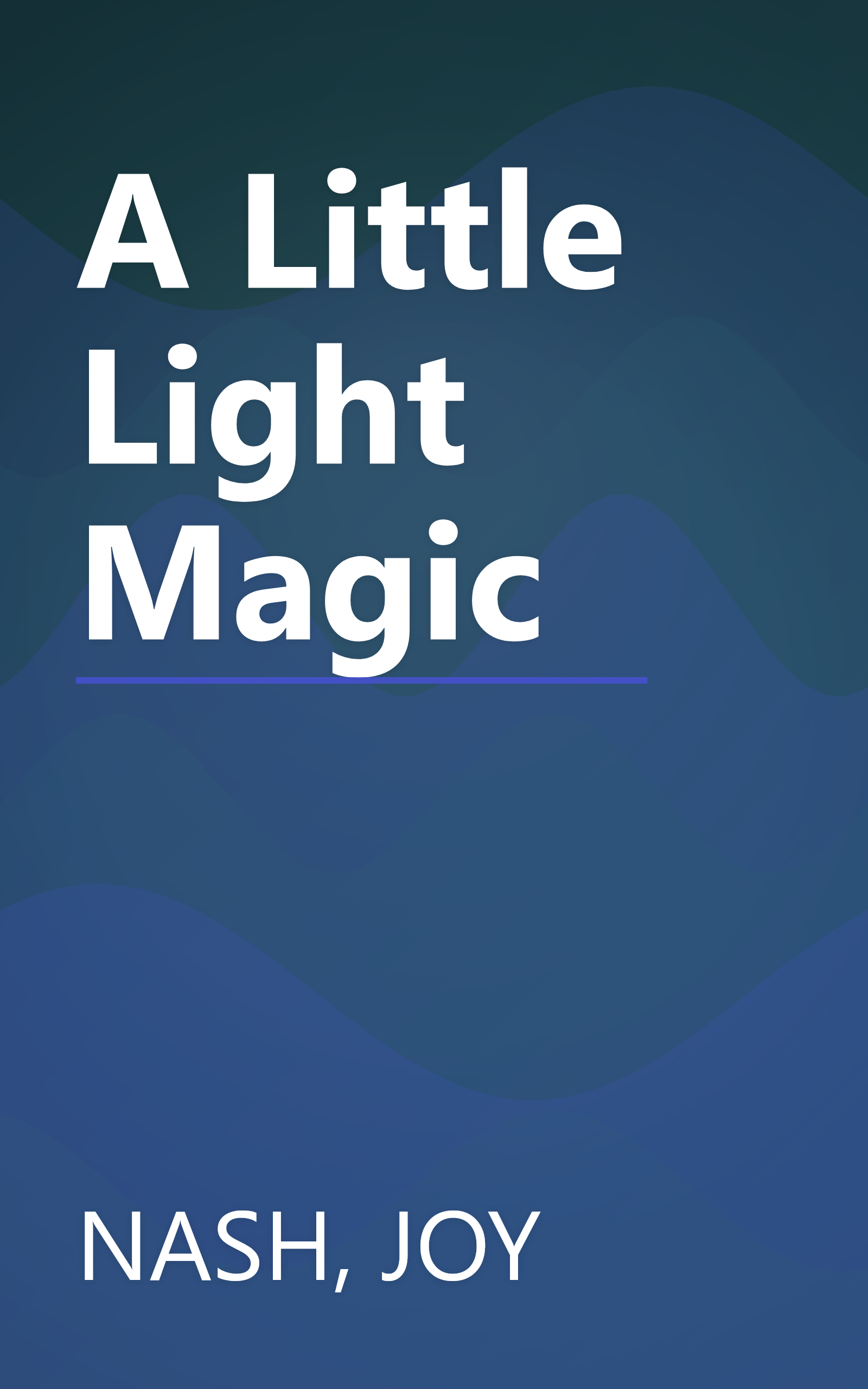 A Little Light Magic book cover