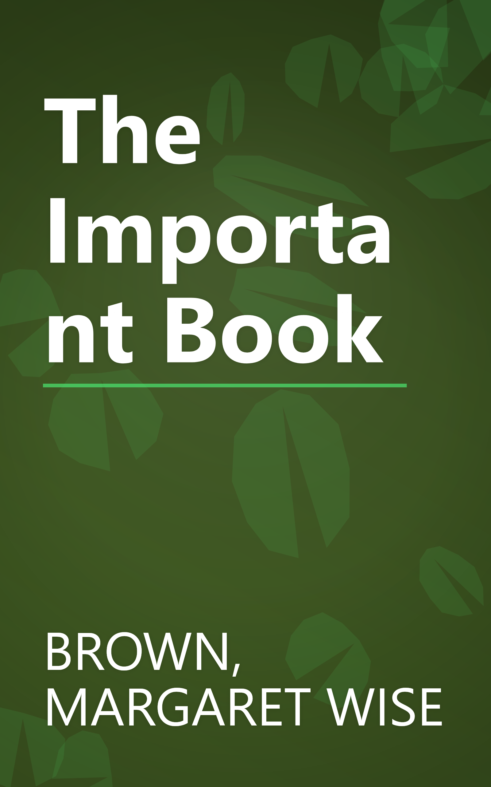 The Important Book book cover