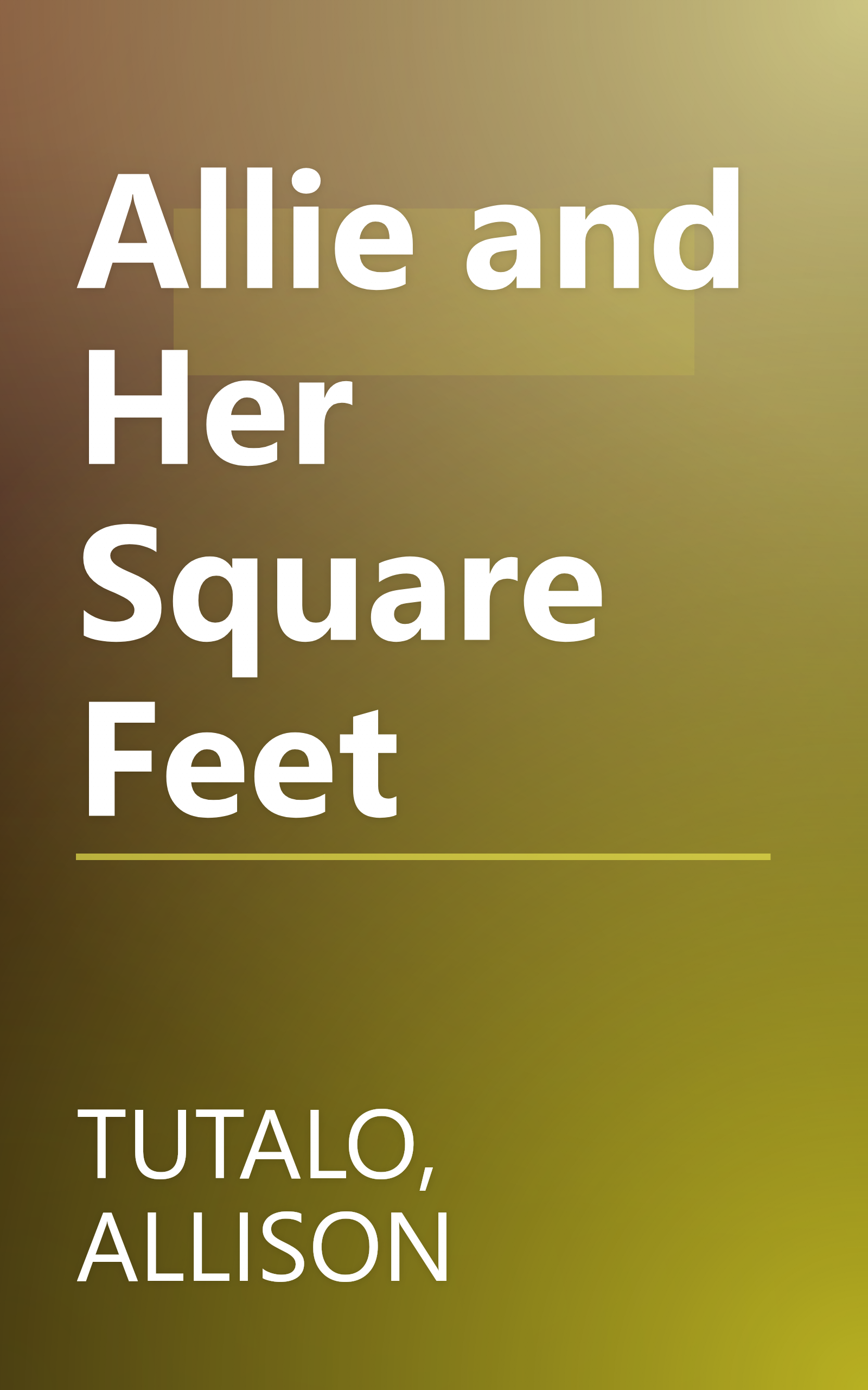 Allie and Her Square Feet book cover