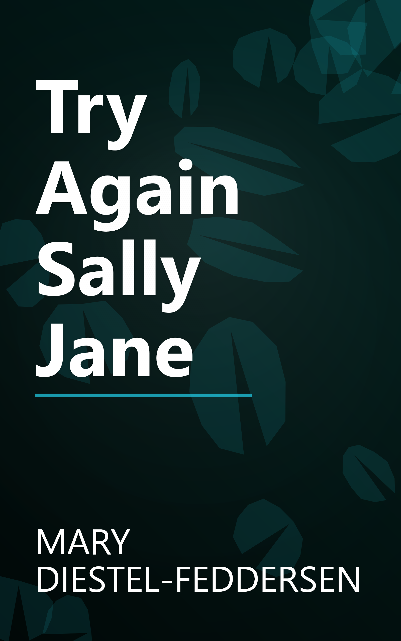 Try Again Sally Jane book cover