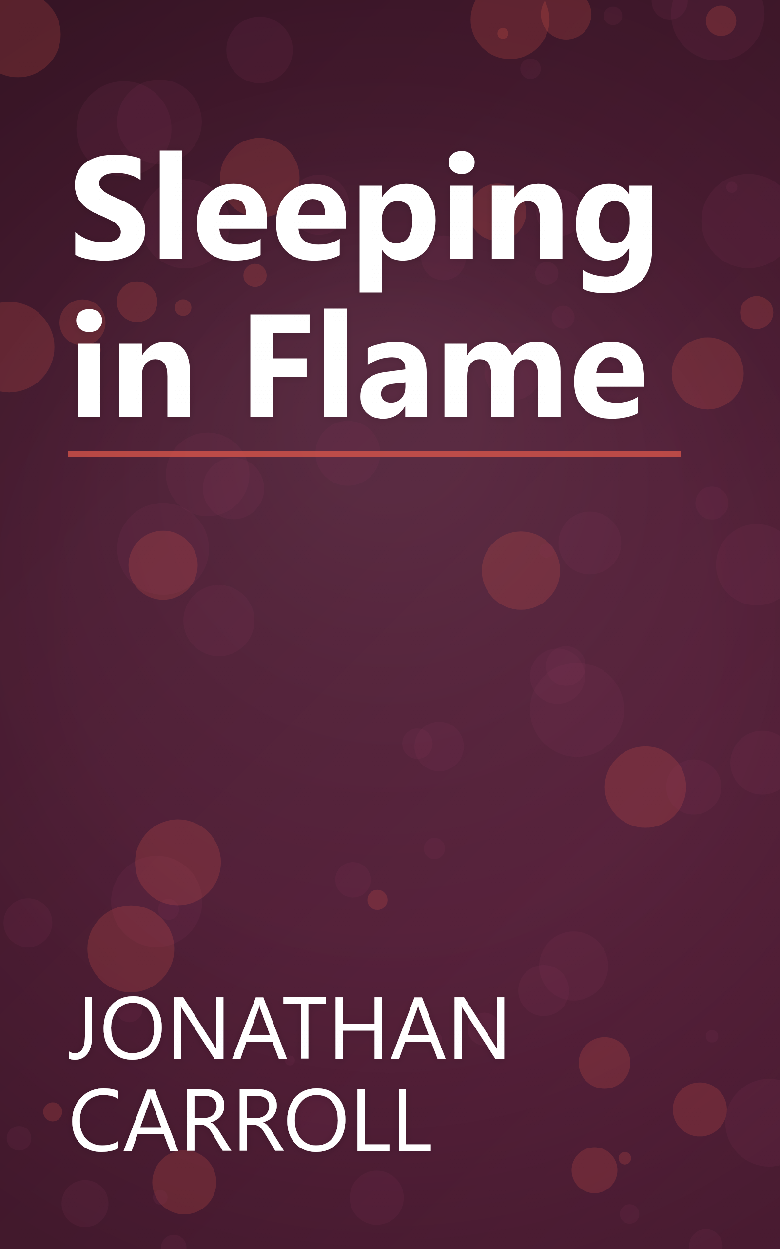 Sleeping in Flame book cover
