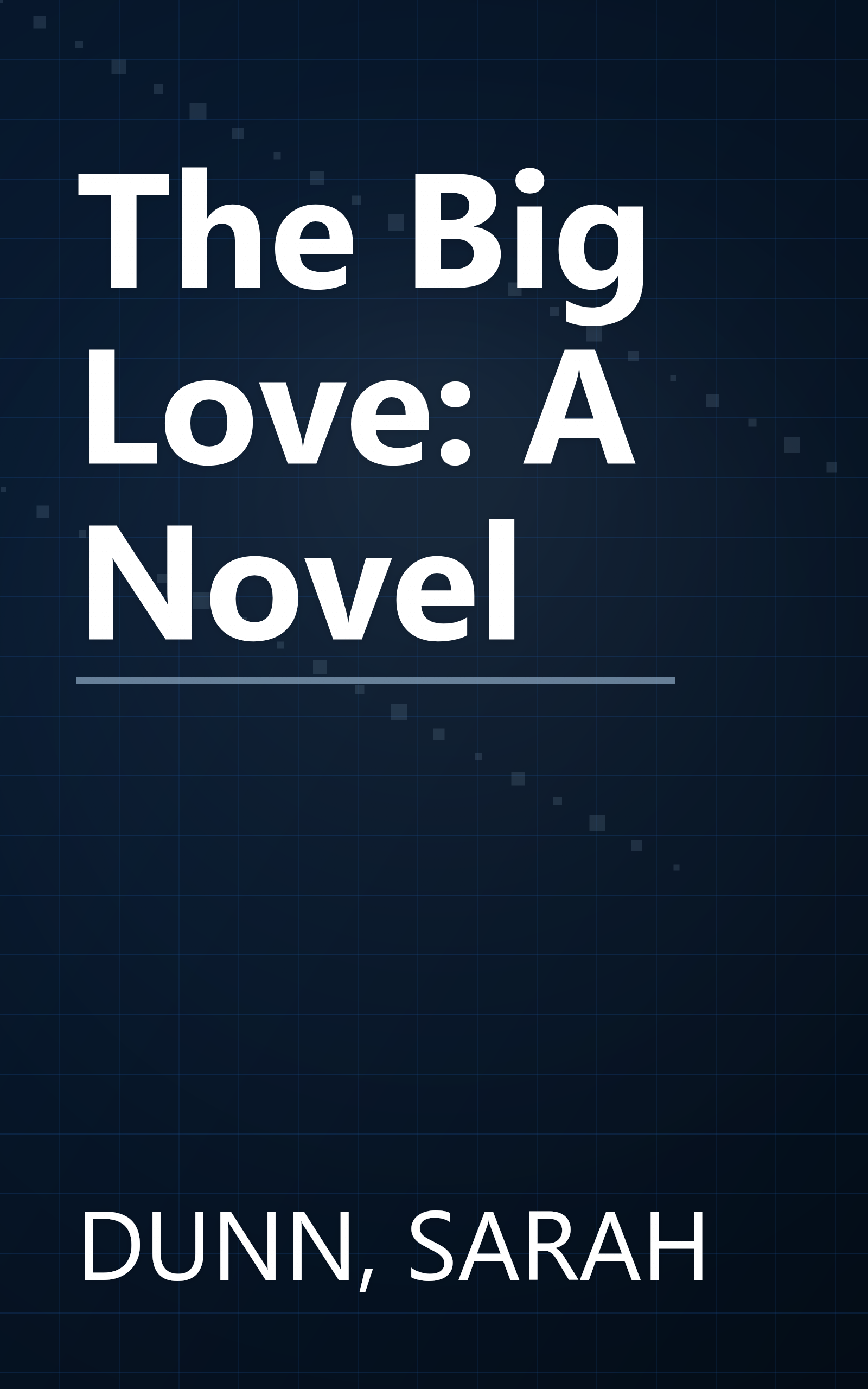 The Big Love: A Novel book cover