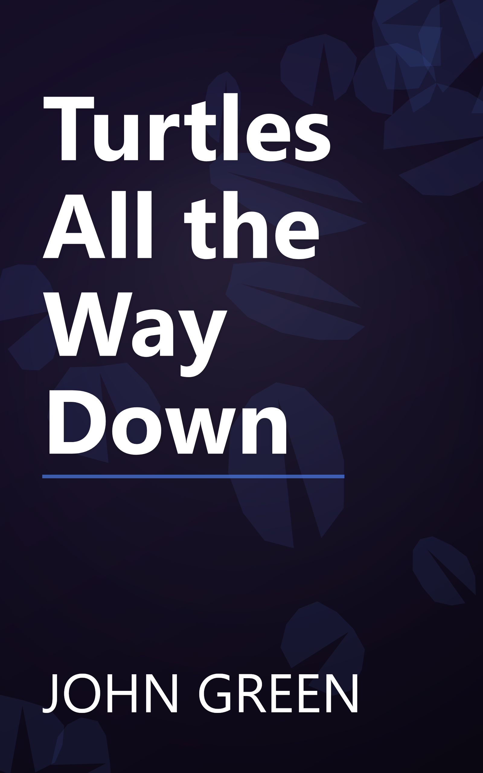 Turtles All the Way Down book cover