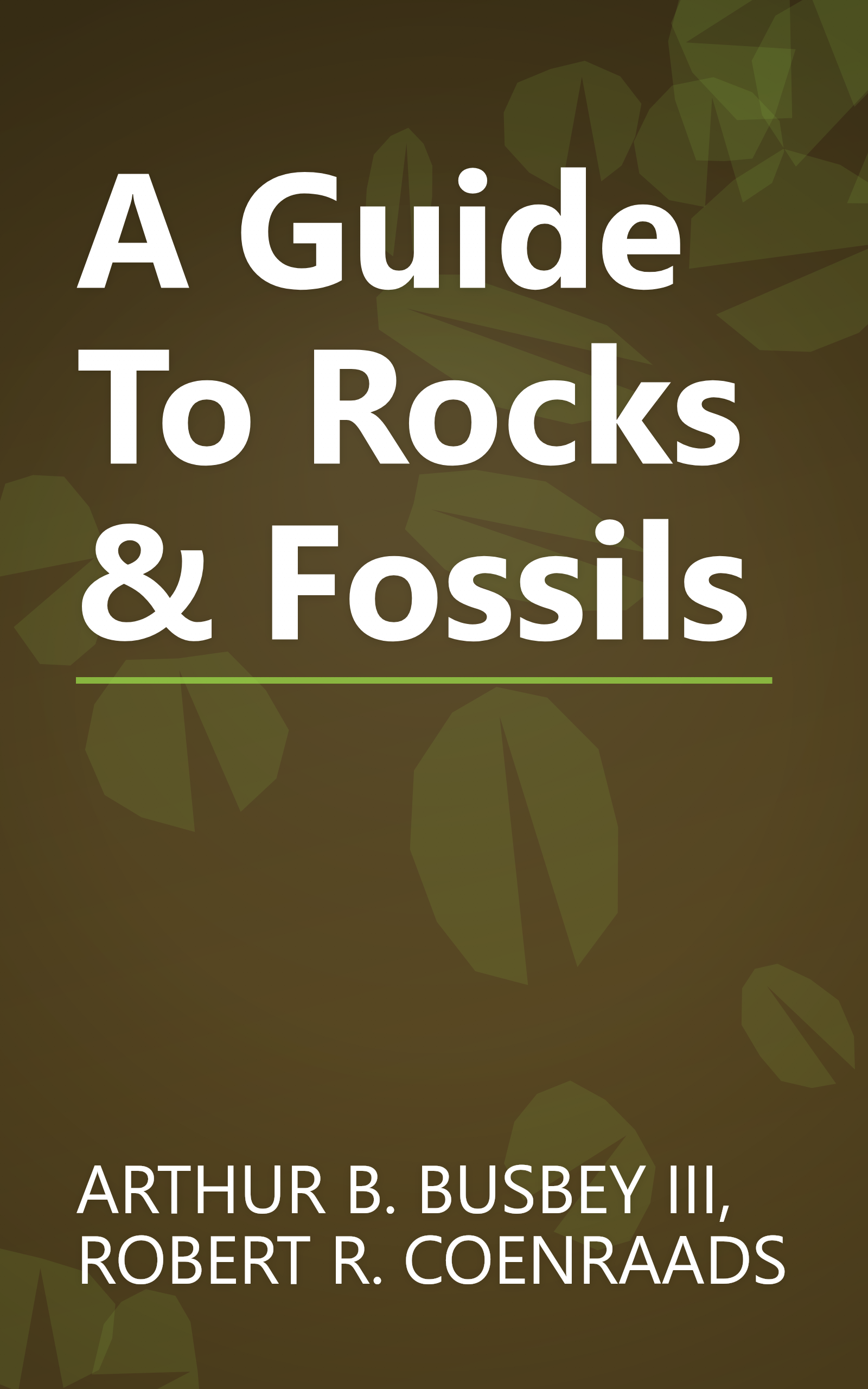 A Guide To Rocks & Fossils book cover