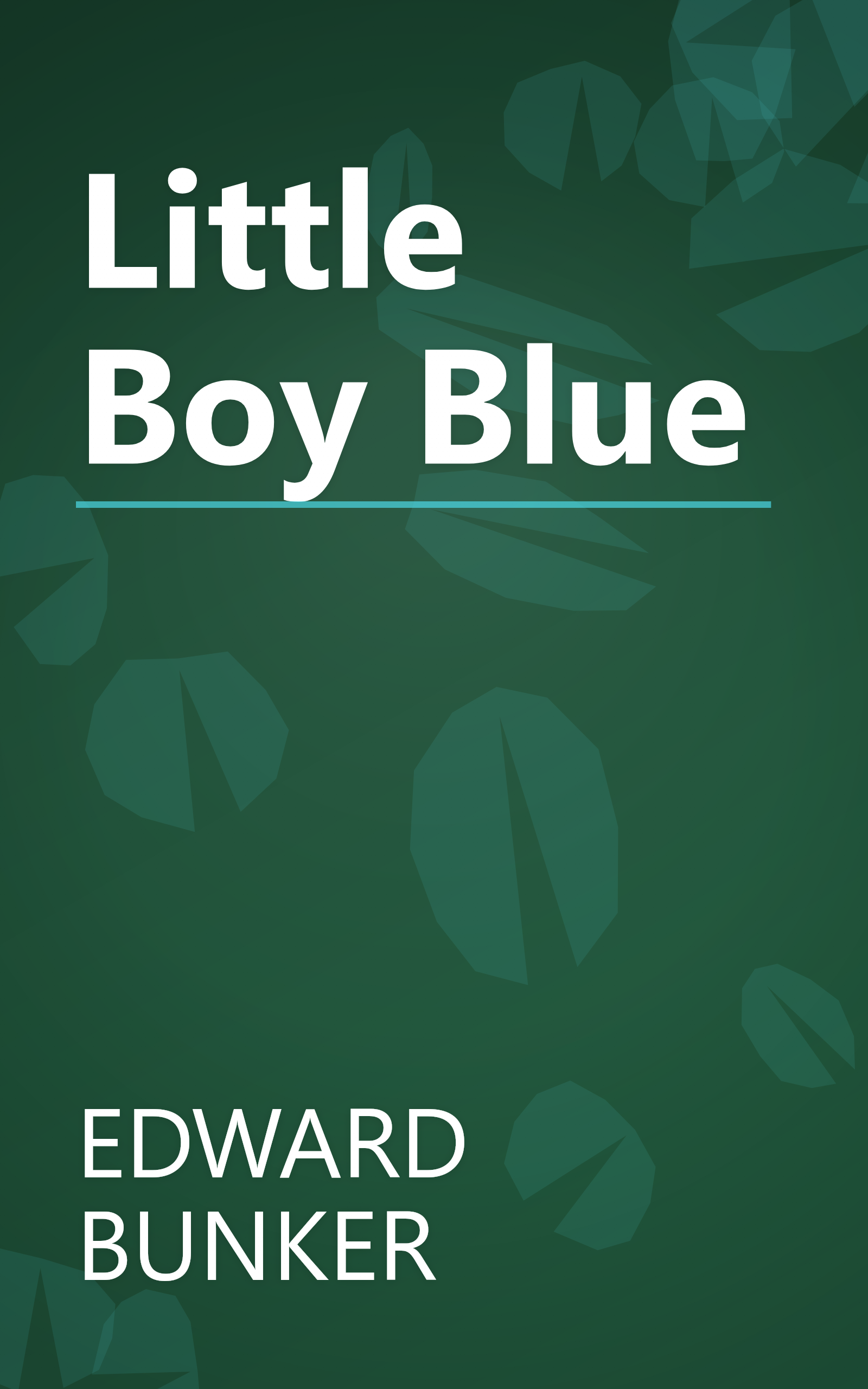Little Boy Blue book cover