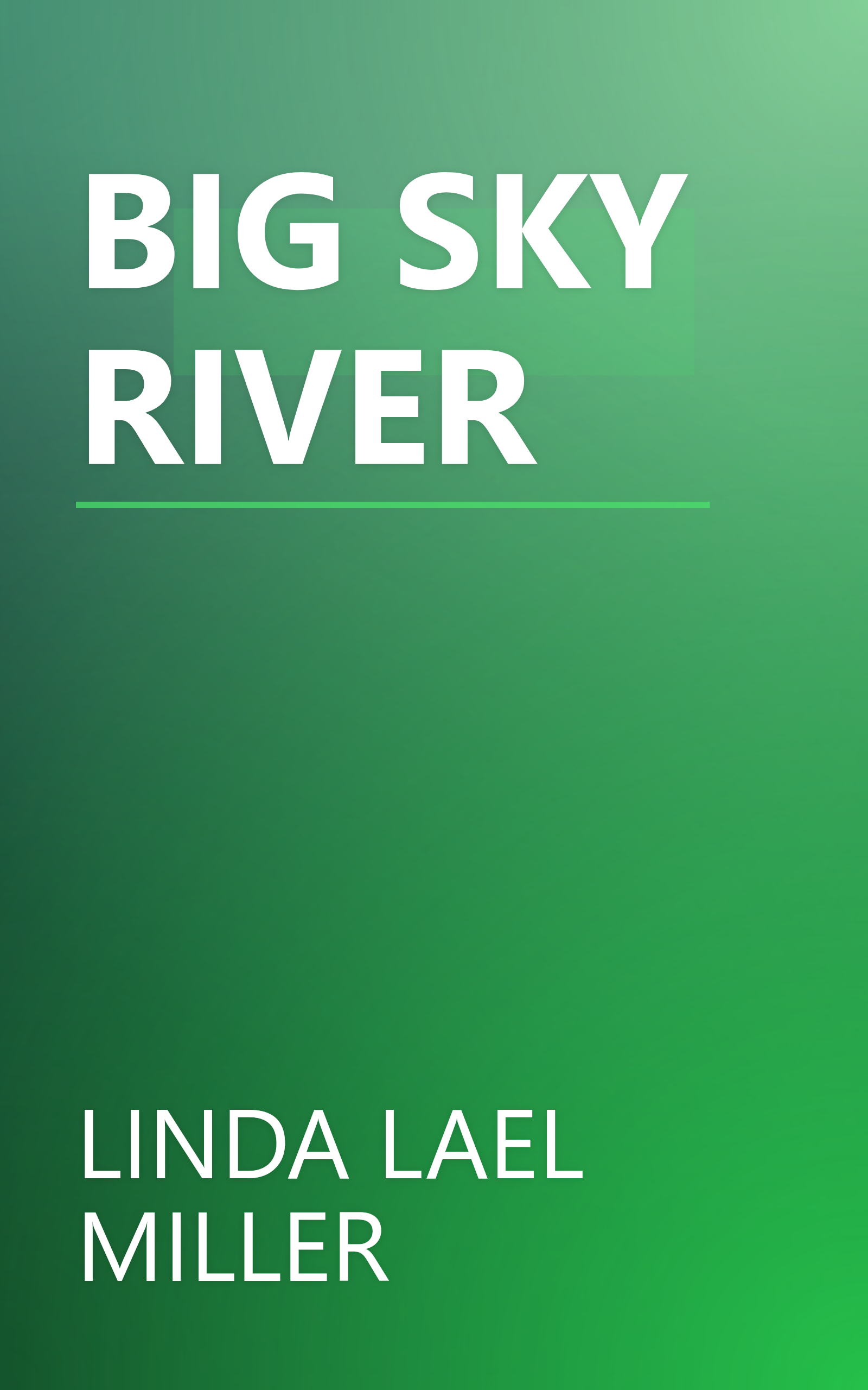 BIG SKY RIVER book cover