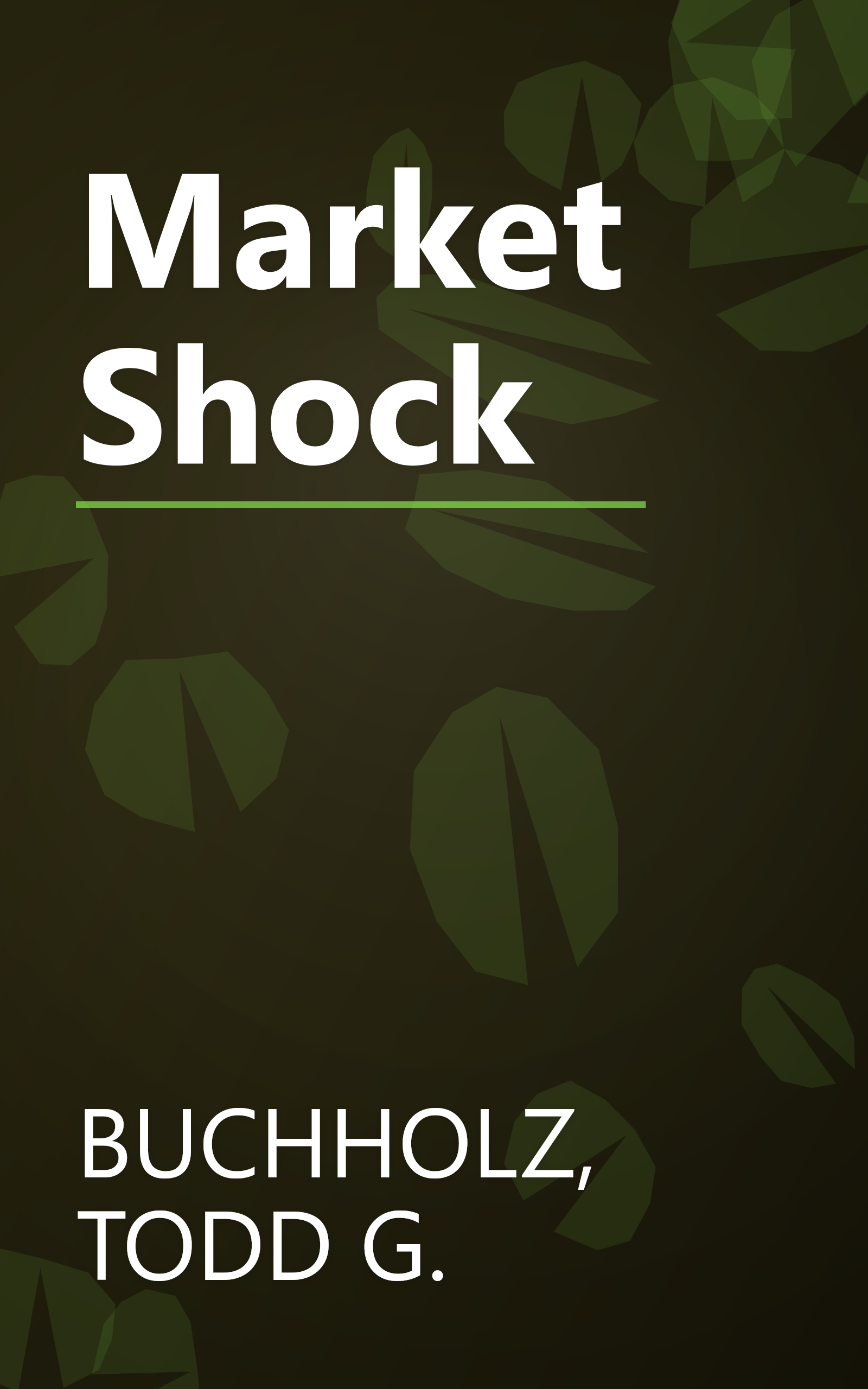 Market Shock book cover
