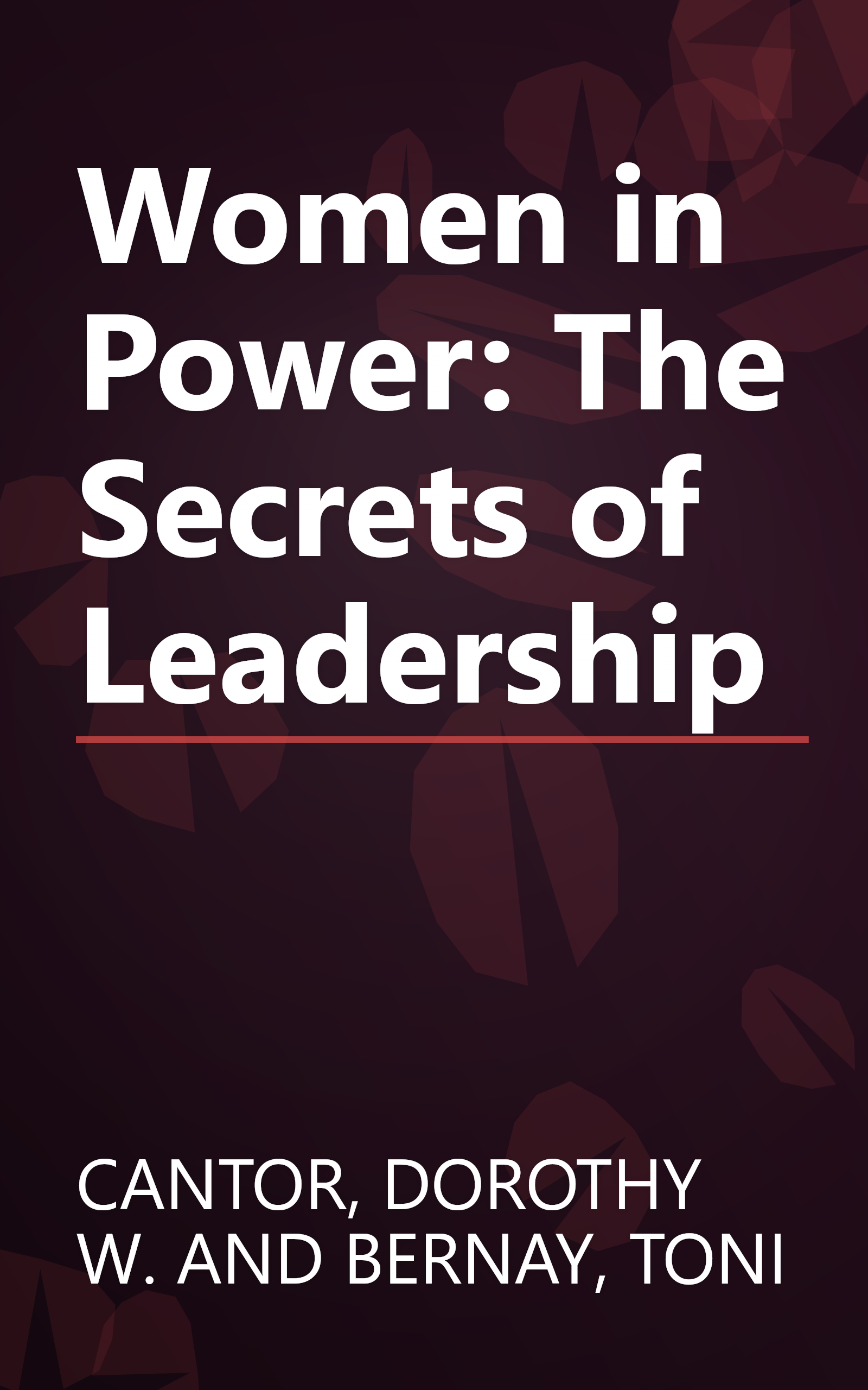 Women in Power: The Secrets of Leadership book cover