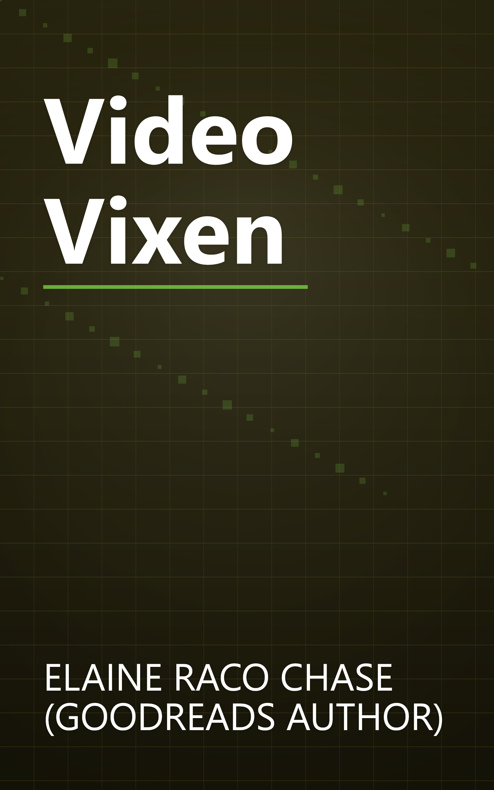 Video Vixen book cover