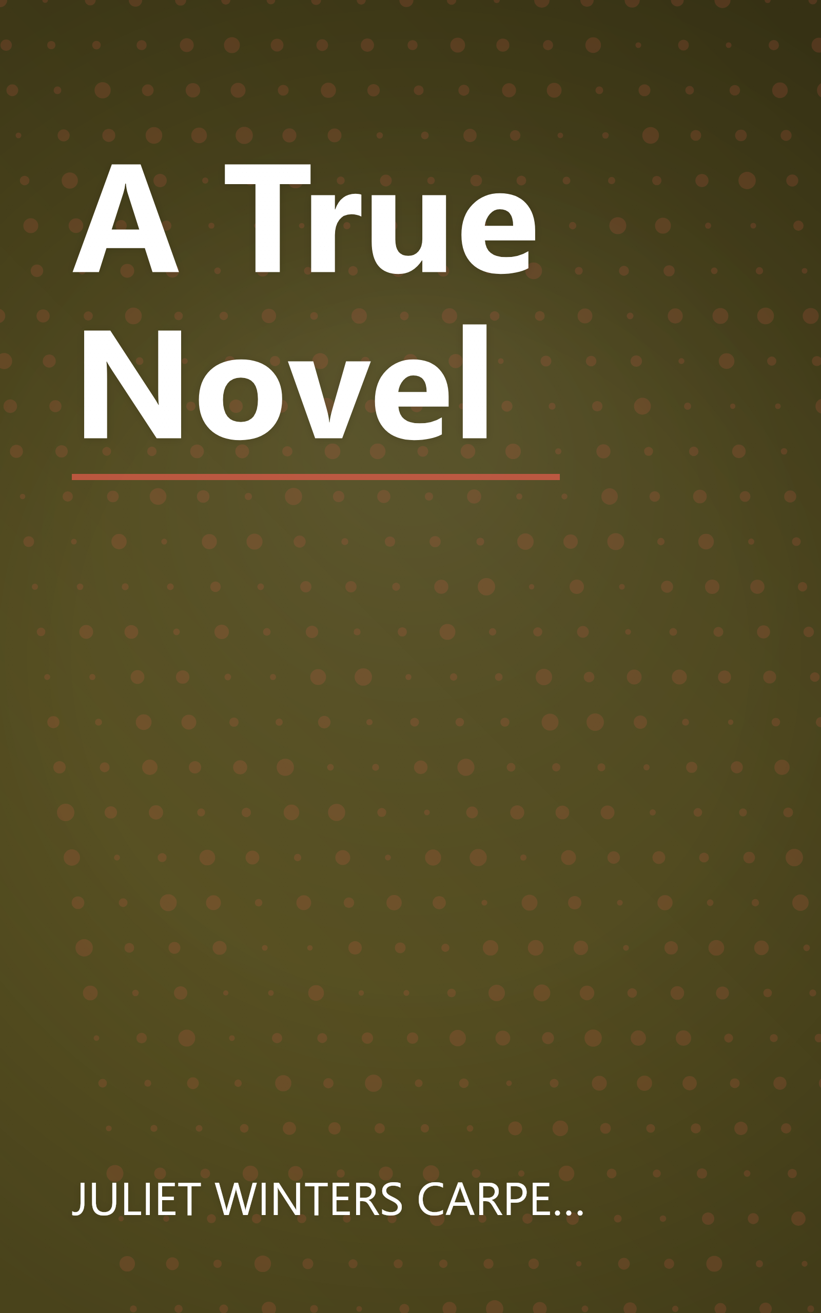 A True Novel book cover