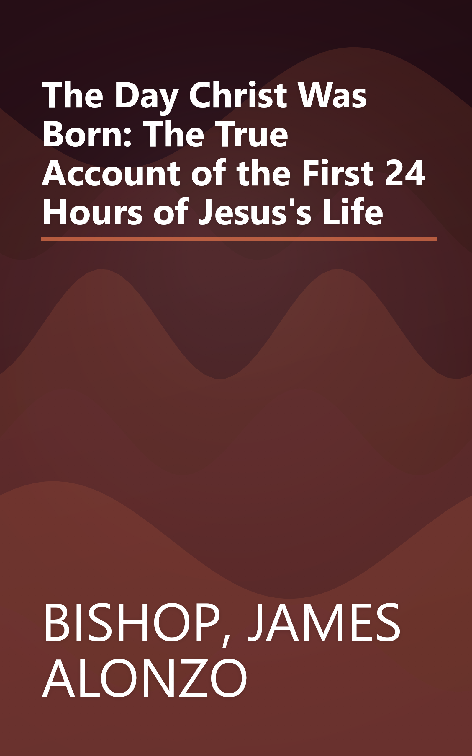 The Day Christ Was Born: The True Account of the First 24 Hours of Jesus's Life book cover