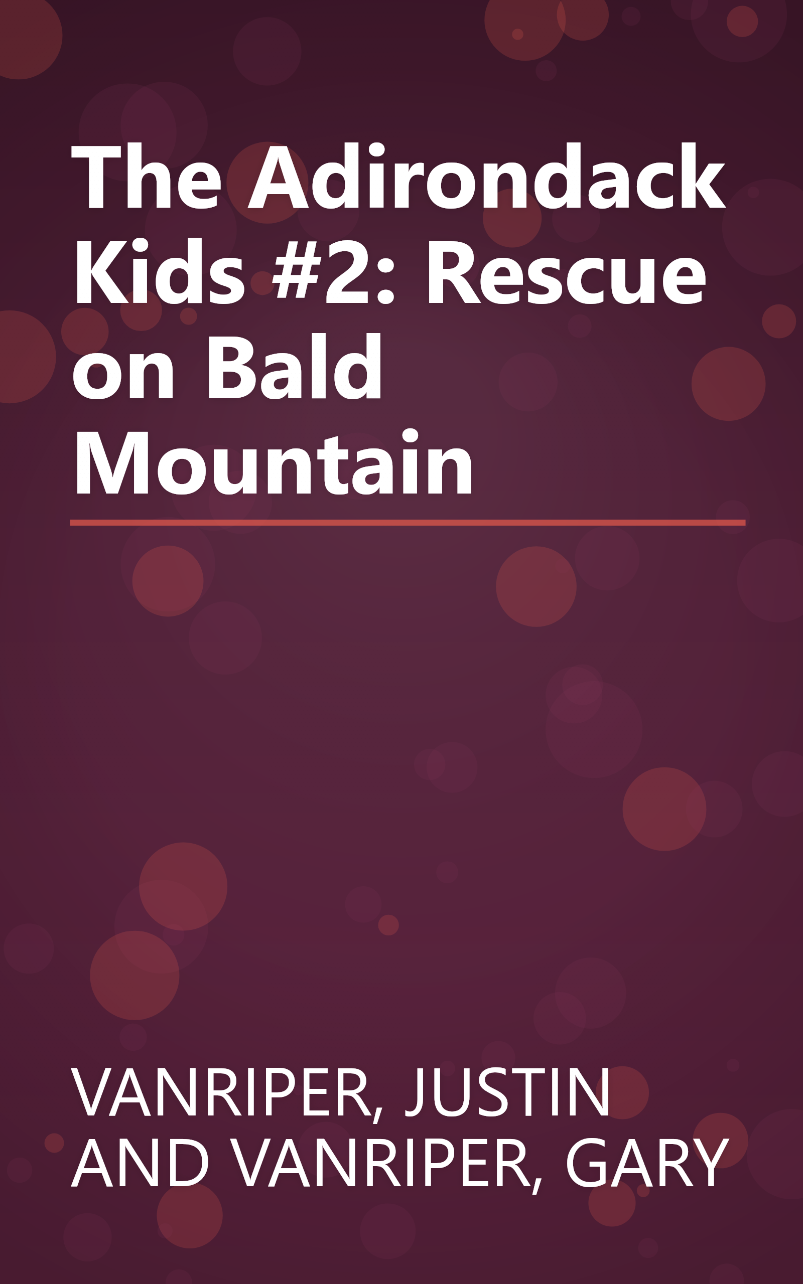 The Adirondack Kids #2: Rescue on Bald Mountain book cover