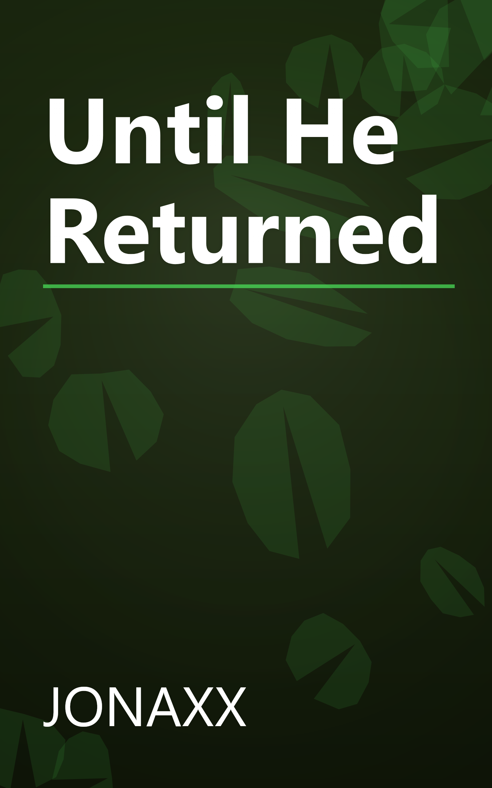 Until He Returned book cover