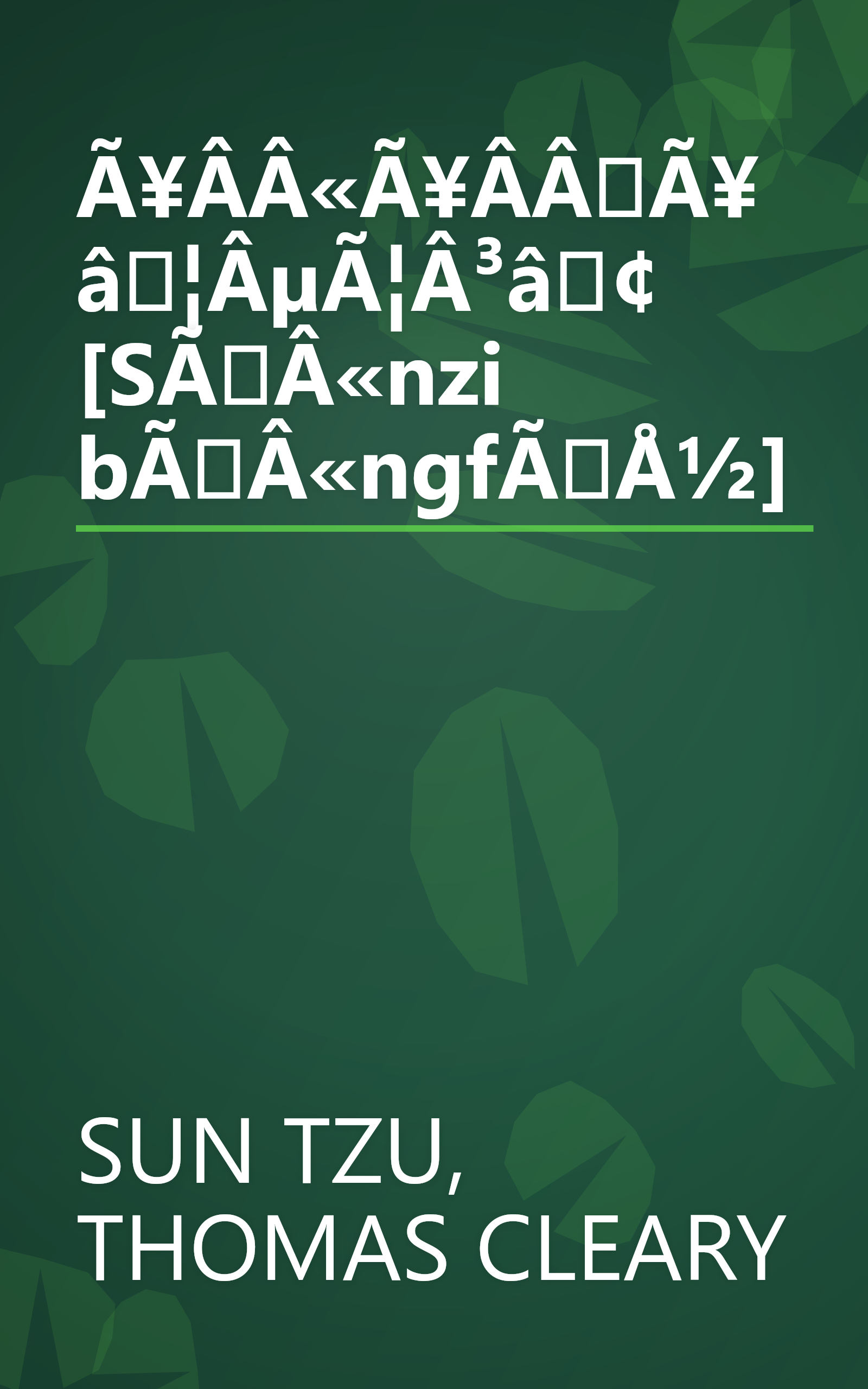 Ã¥Â­Â«Ã¥Â­ÂÃ¥â¦ÂµÃ¦Â³â¢ [SÃÂ«nzi bÃÂ«ngfÃÅ½] book cover