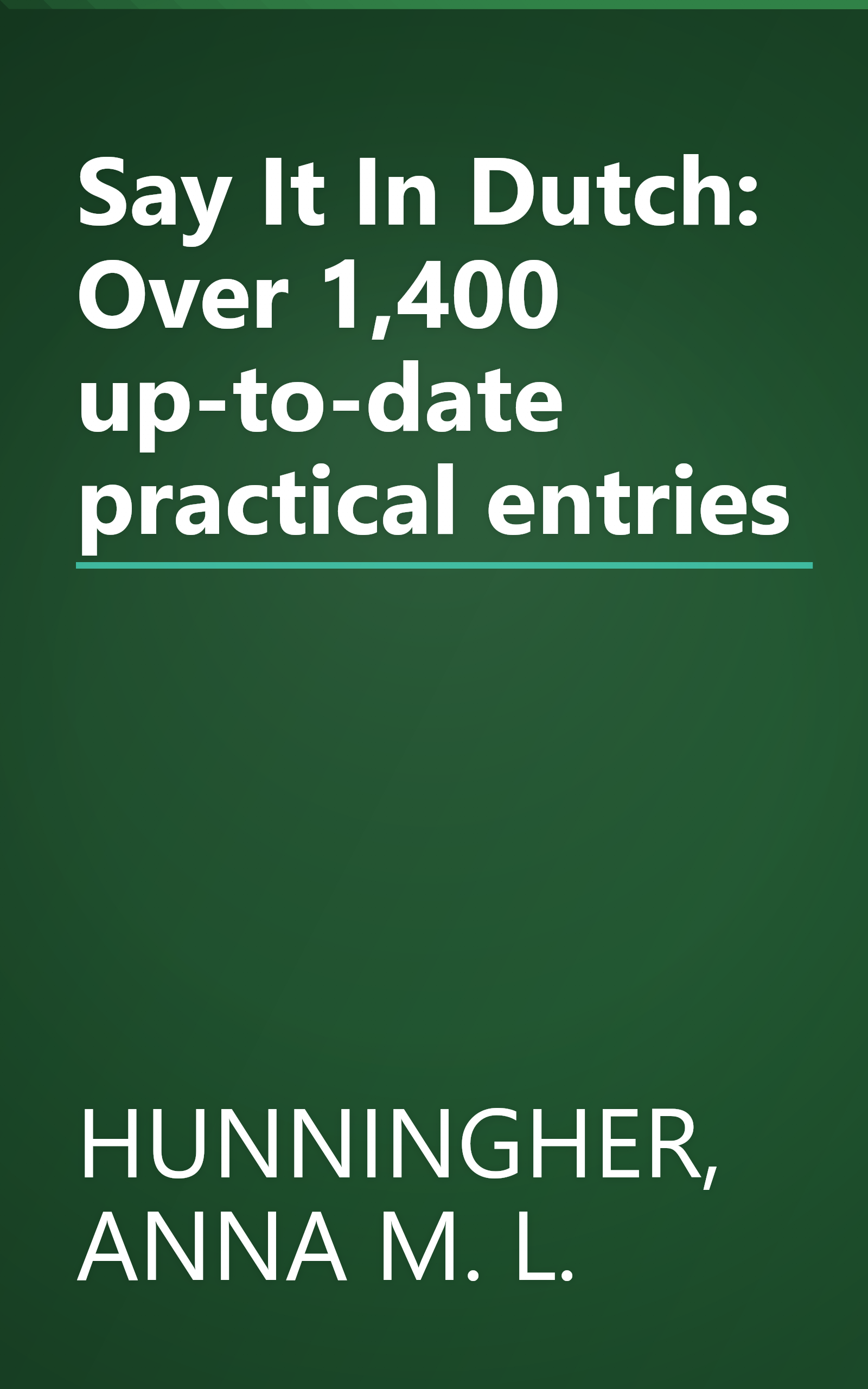 Say It In Dutch: Over 1,400 up-to-date practical entries book cover