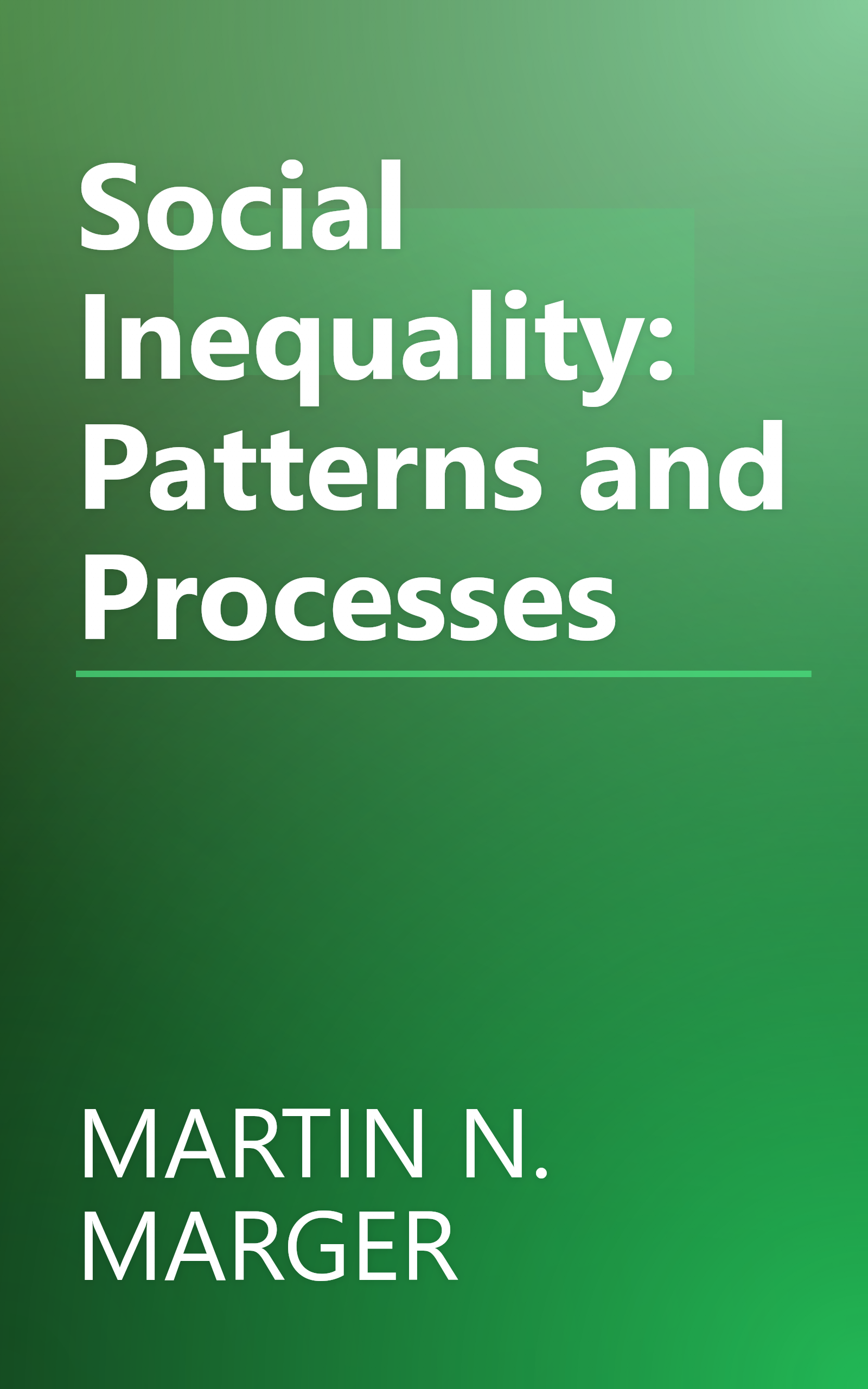 Social Inequality: Patterns and Processes book cover