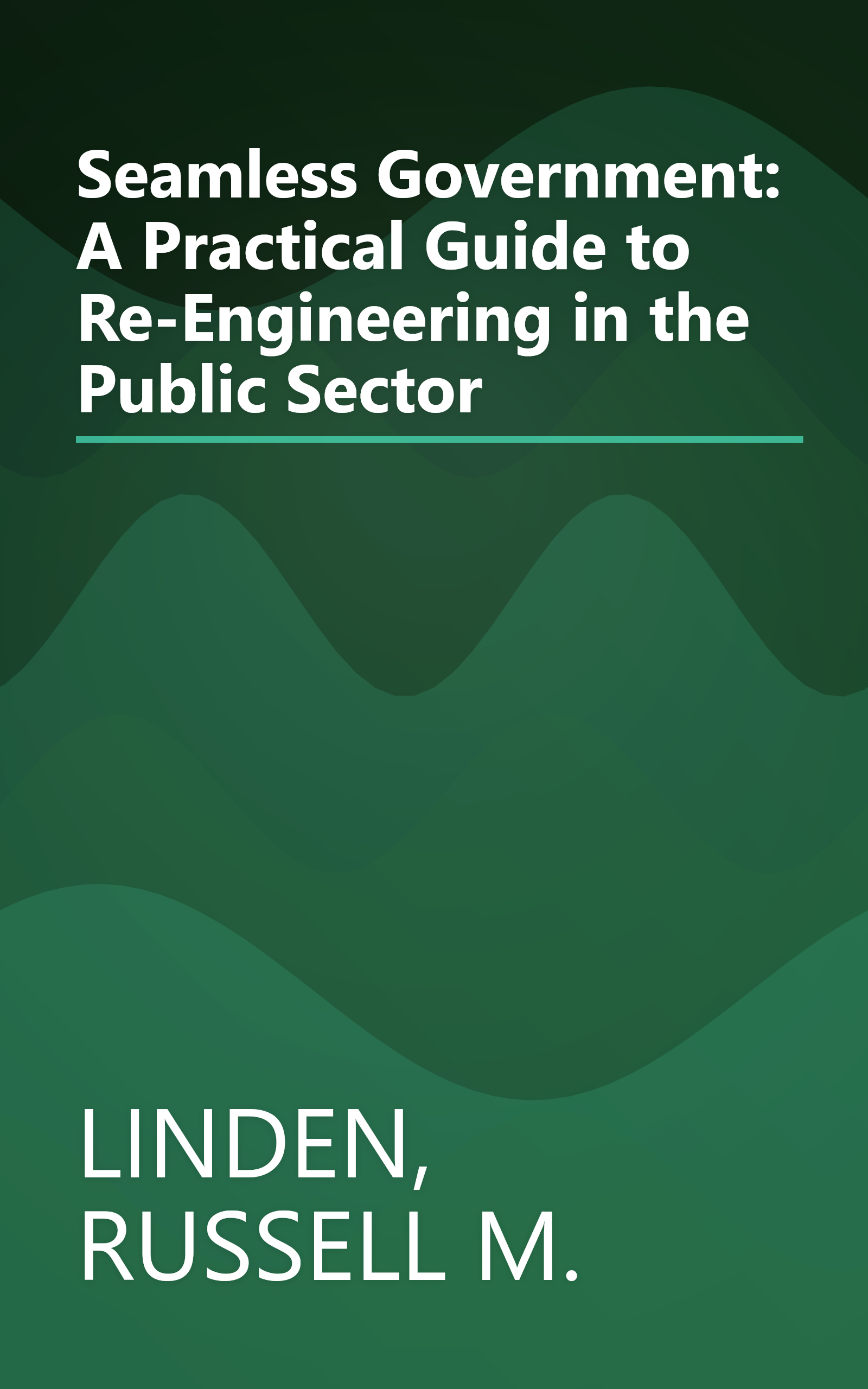 Seamless Government: A Practical Guide to Re-Engineering in the Public Sector book cover