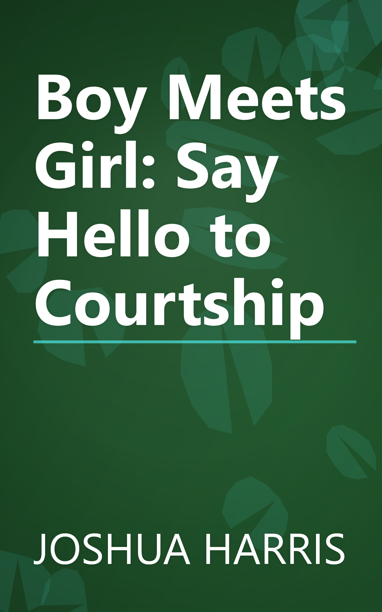 Boy Meets Girl: Say Hello to Courtship book cover