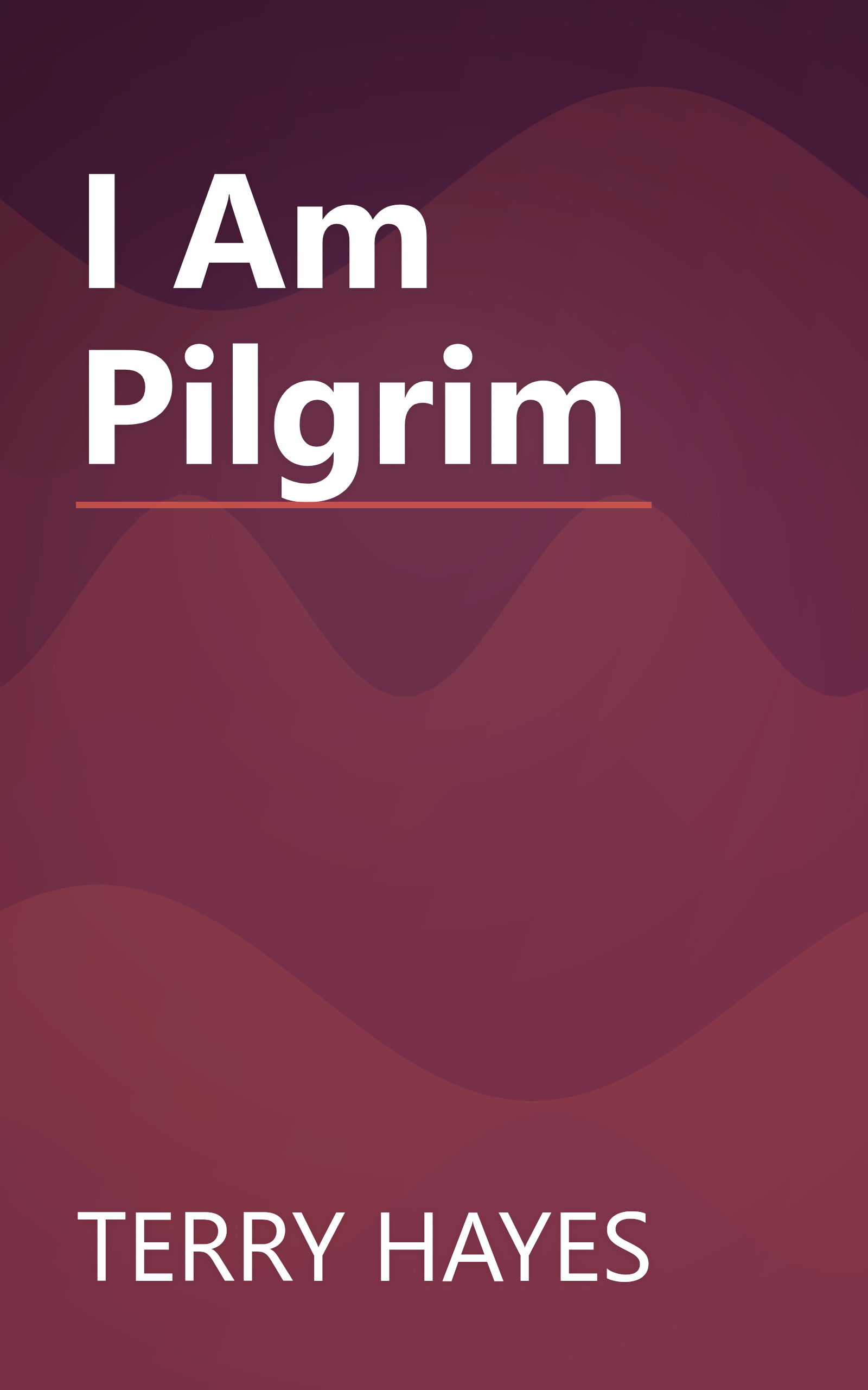 I Am Pilgrim book cover