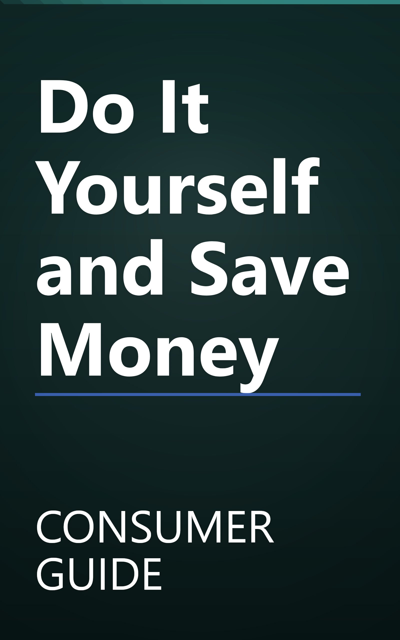 Do It Yourself and Save Money book cover