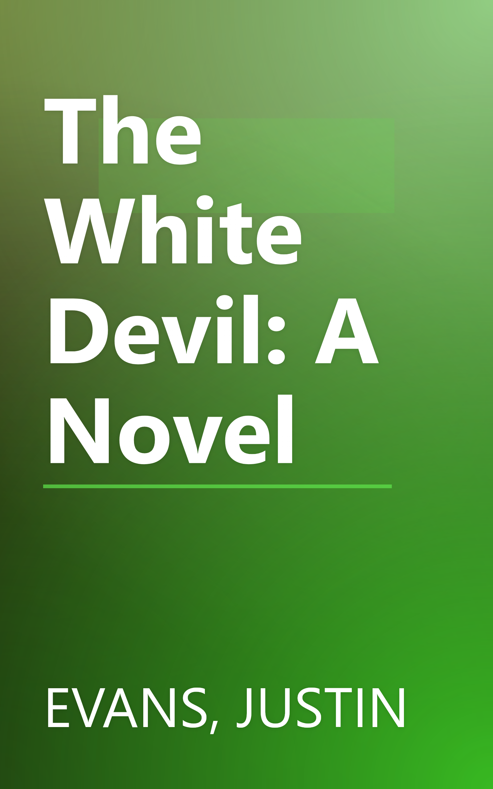 The White Devil: A Novel book cover