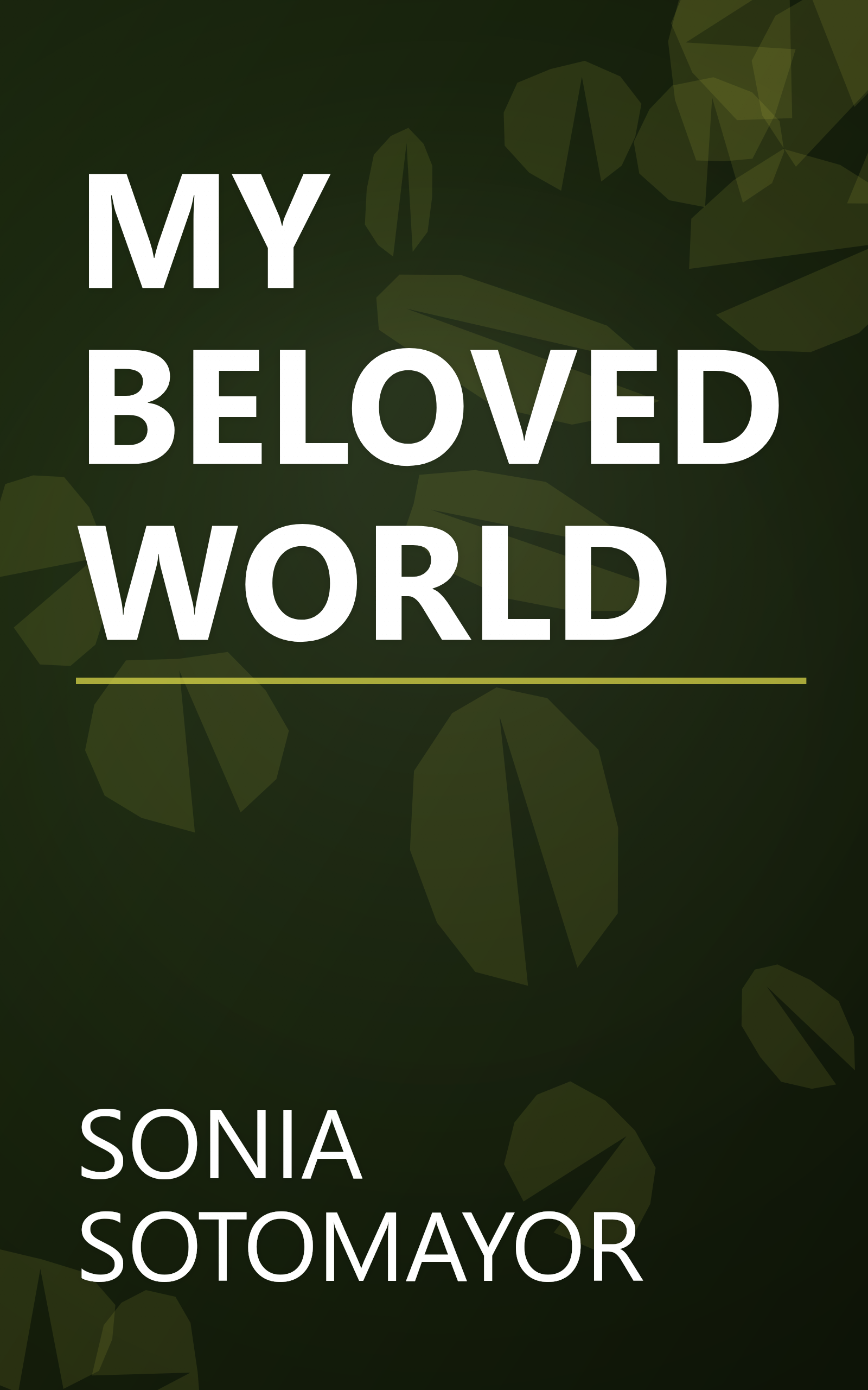 MY BELOVED WORLD book cover