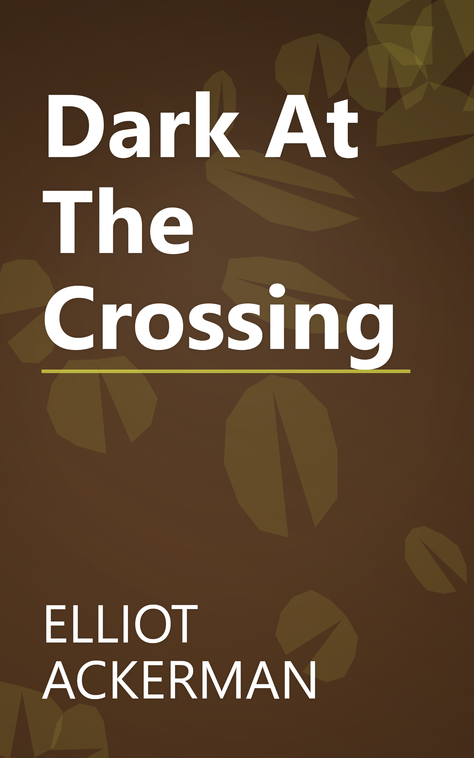 Dark At The Crossing book cover