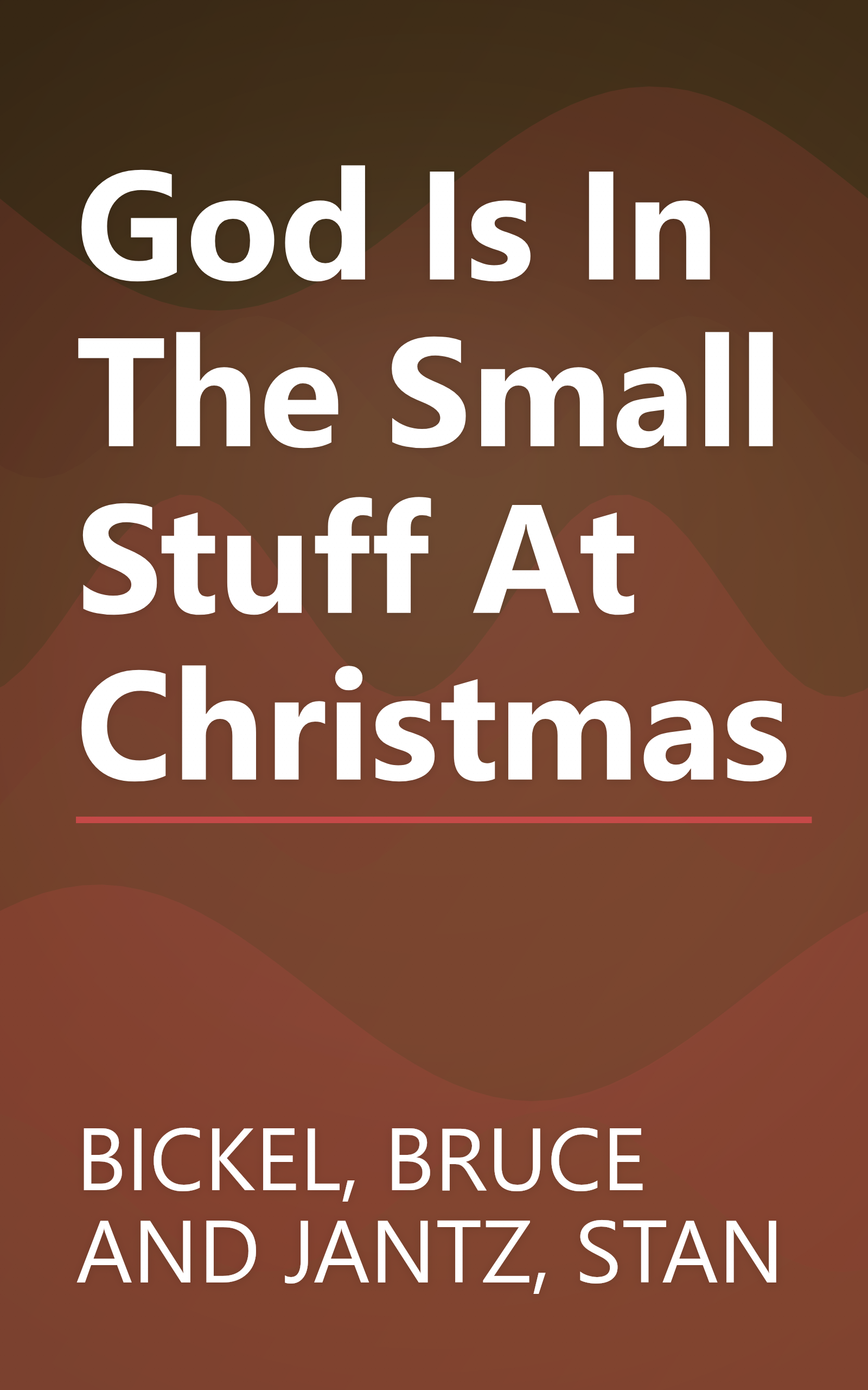 God Is In The Small Stuff At Christmas book cover